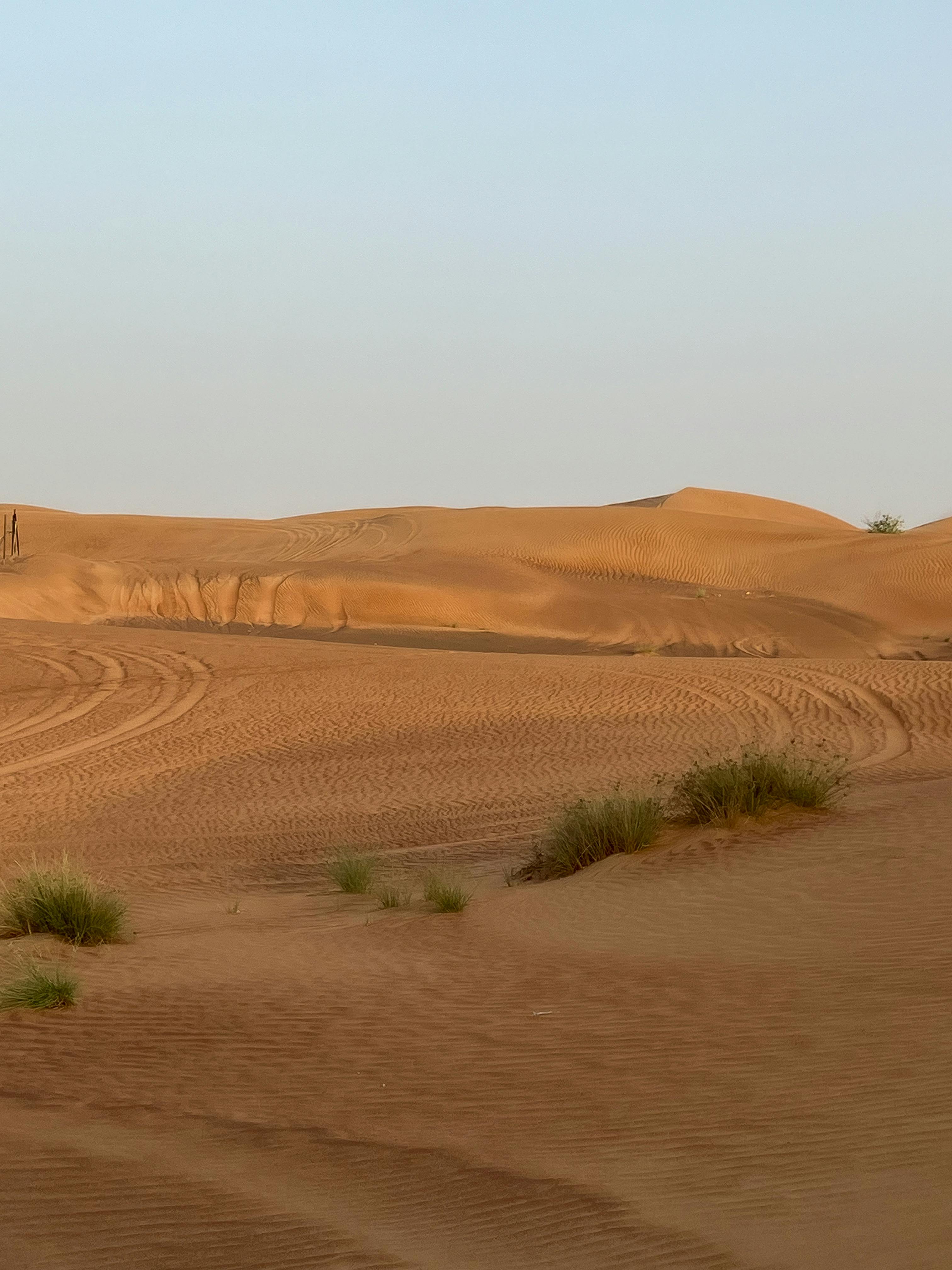 Sunlit Sand Dunes in a Serene Desert Landscape · Free Stock Photo