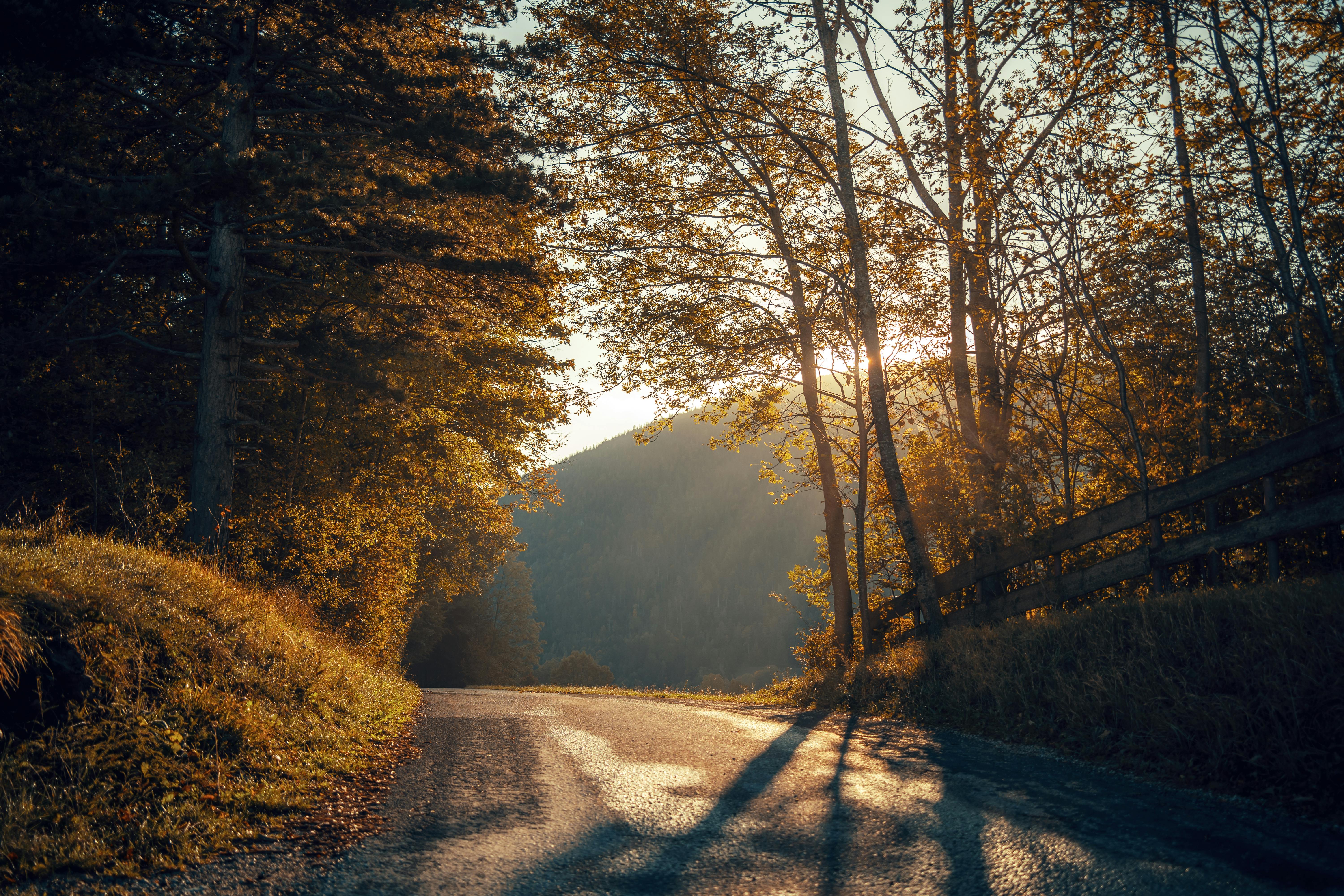 Sunlit Mountain Road in Austrian Countryside · Free Stock Photo