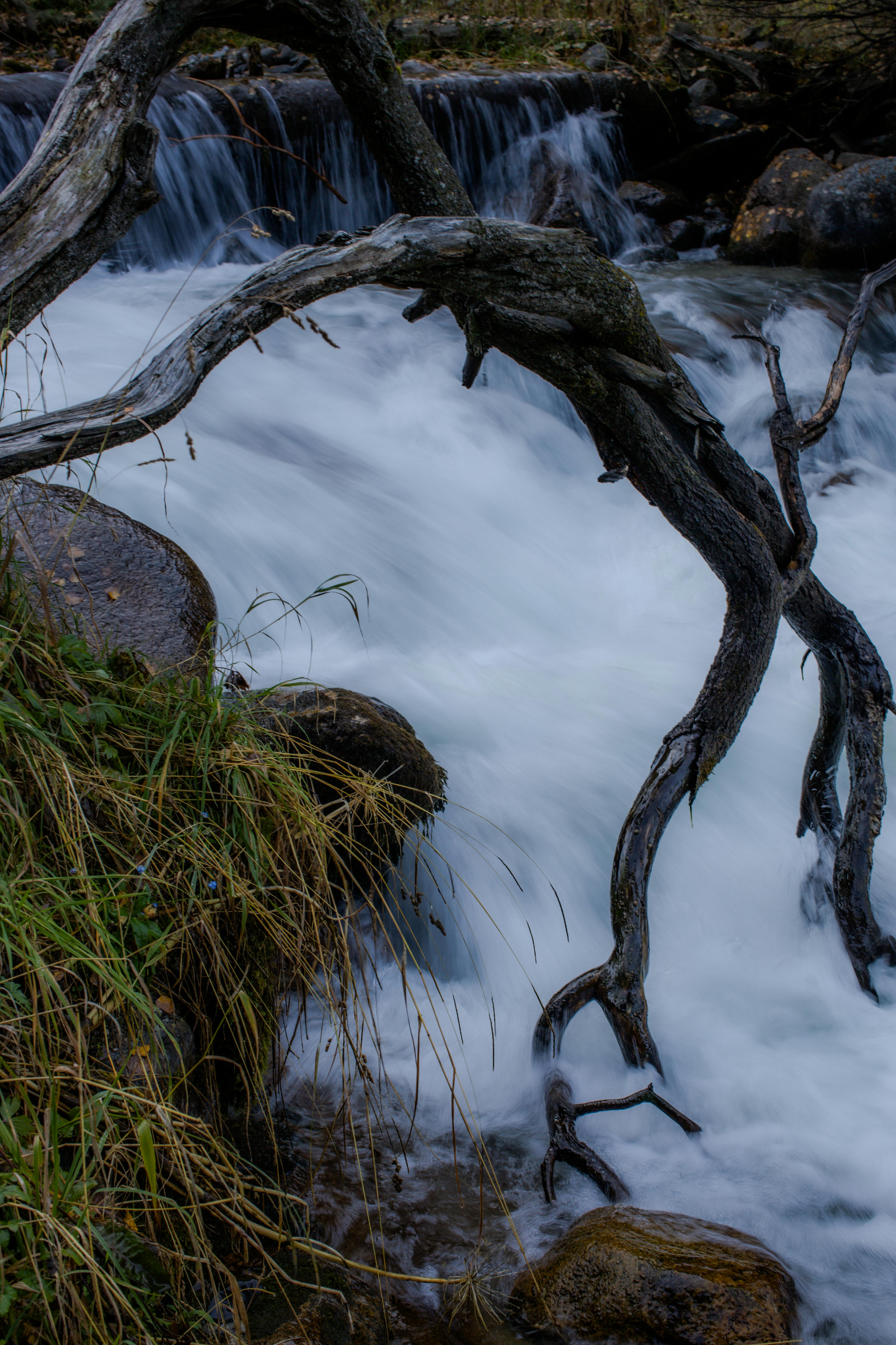 Twisted River Photos, Download The BEST Free Twisted River Stock Photos ...