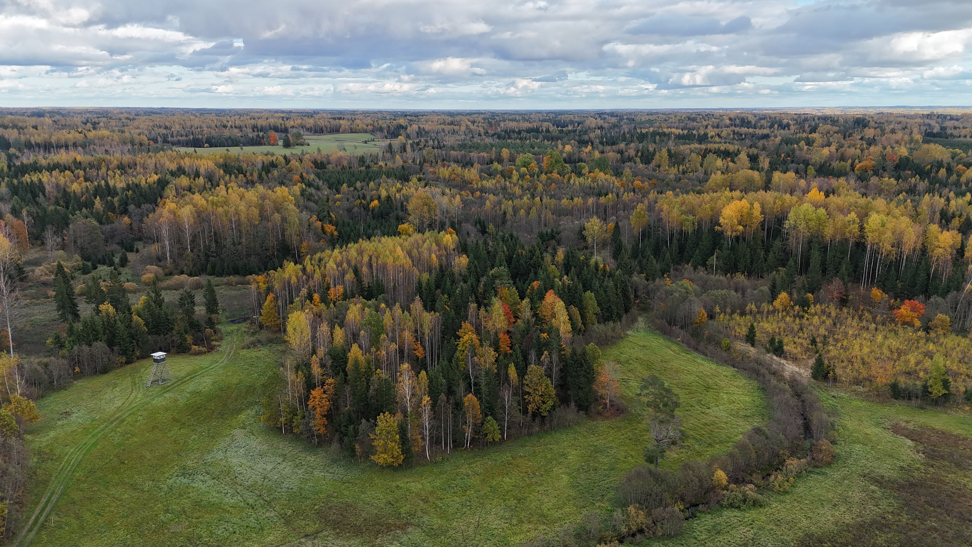 Aerial View of Autumn Forest in Latvia · Free Stock Photo