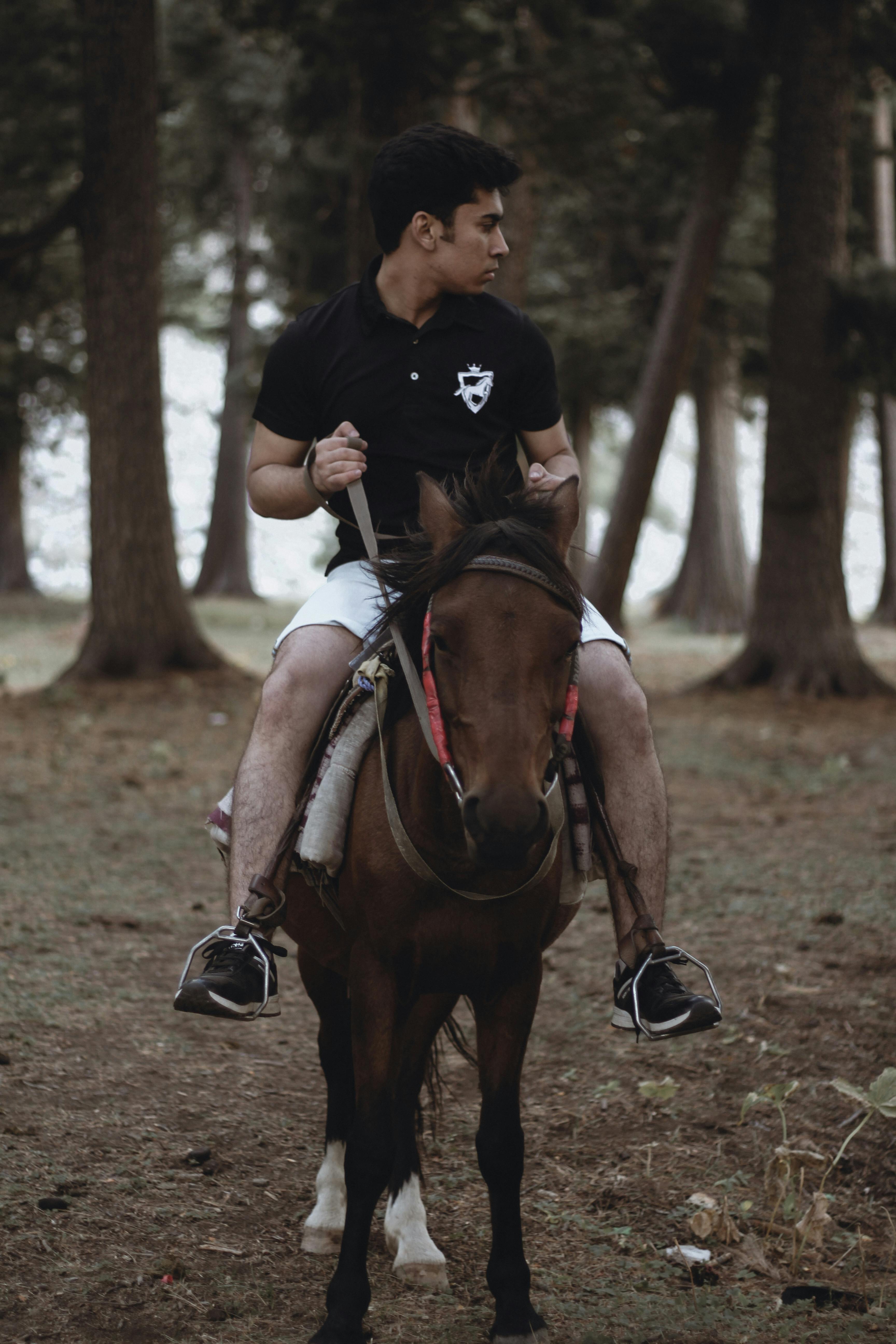 Young Man Riding Horse in Forest Setting · Free Stock Photo