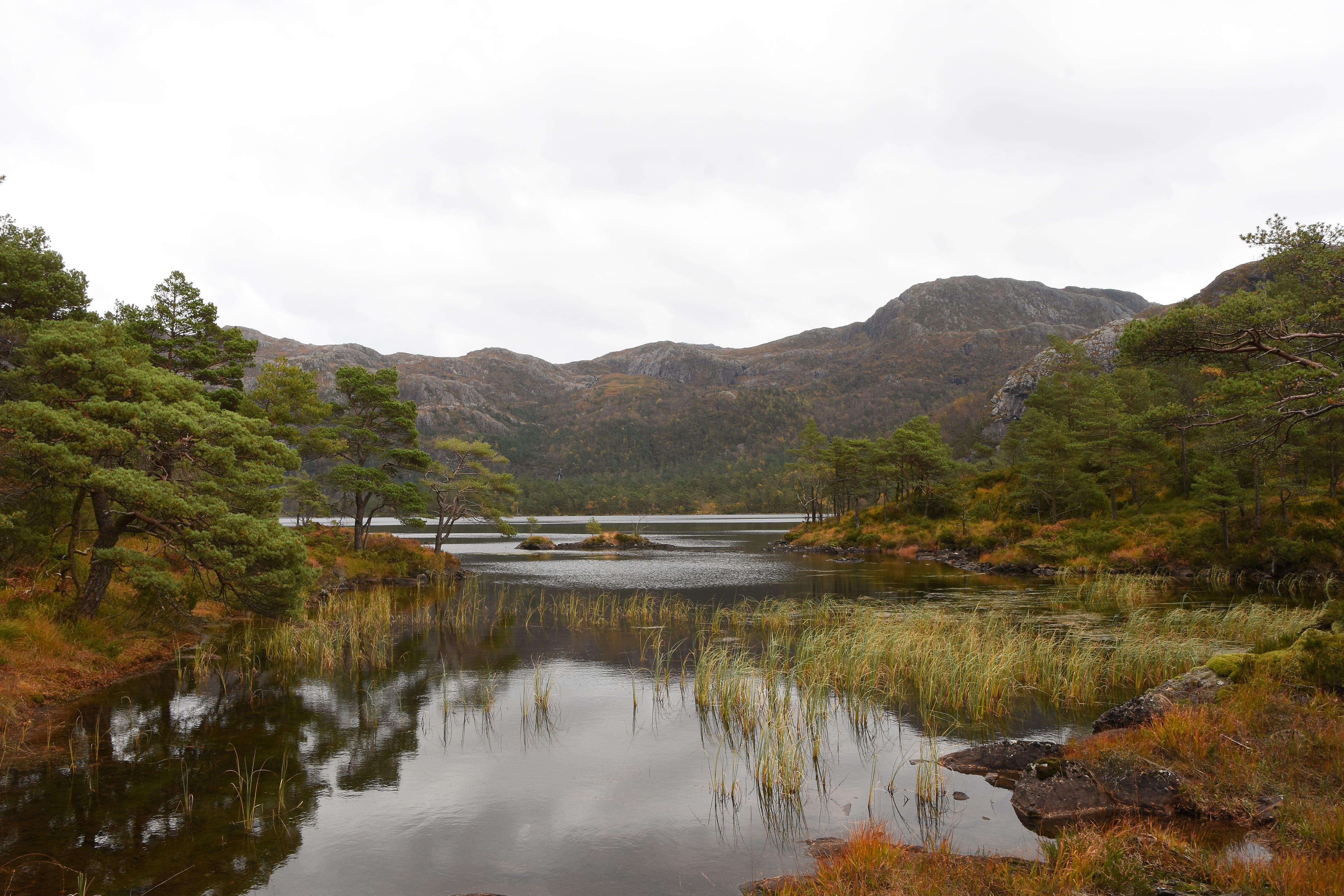 Scenic Autumn Lake in Fitjar, Vestland, Norway · Free Stock Photo