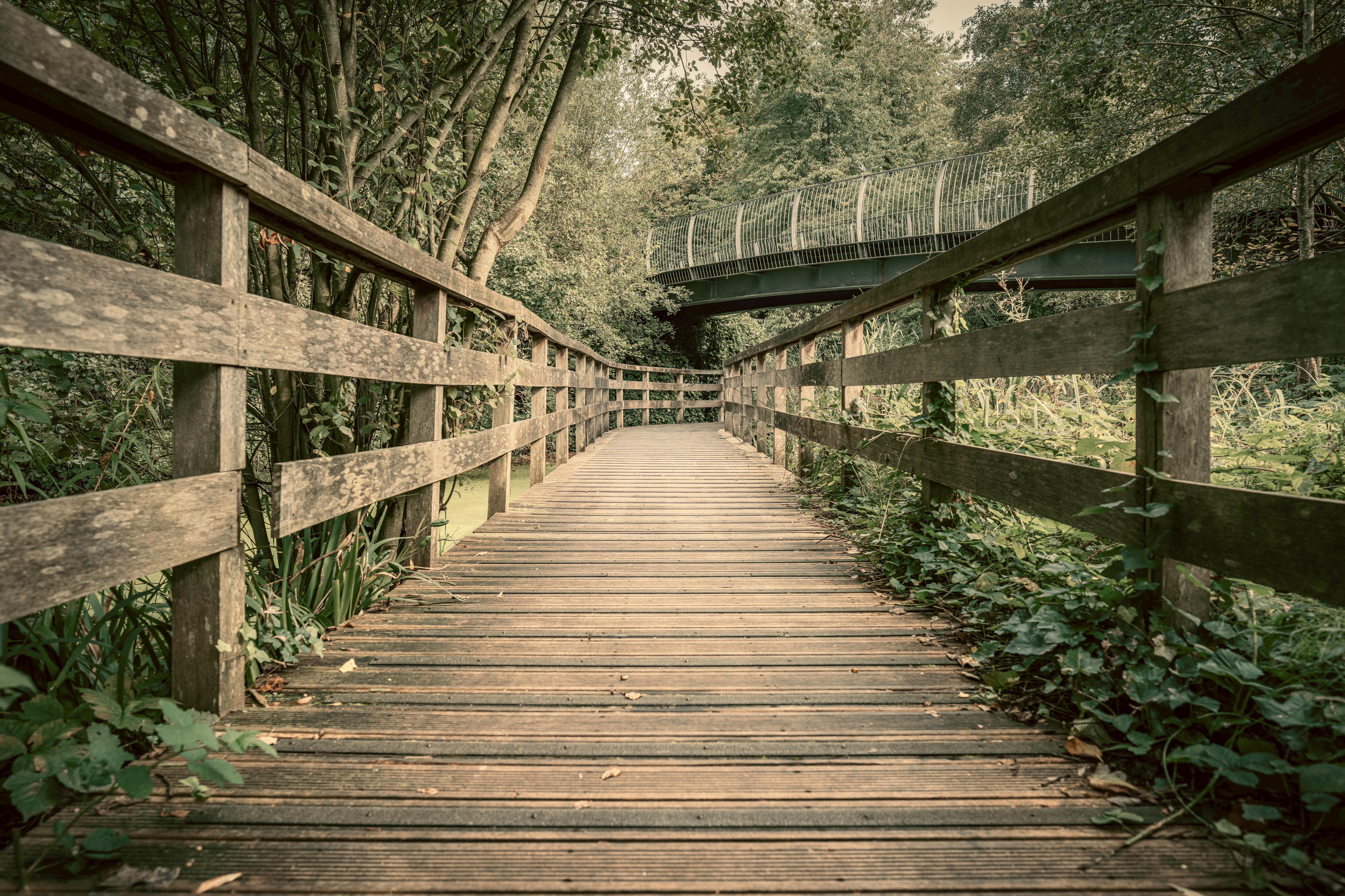 Meandering Trail Photos, Download The BEST Free Meandering Trail Stock ...