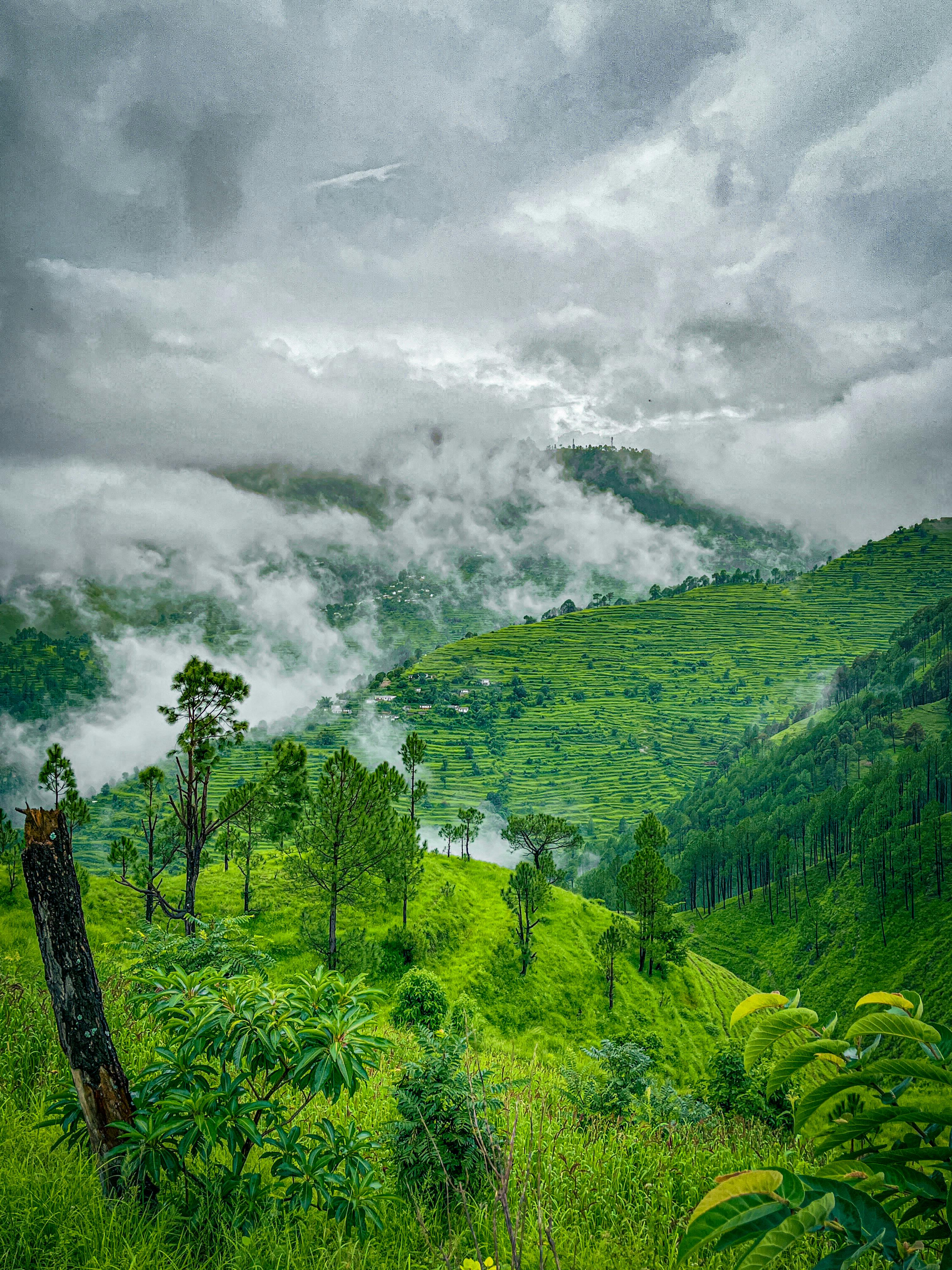 Misty Green Hills of Deghat, India · Free Stock Photo
