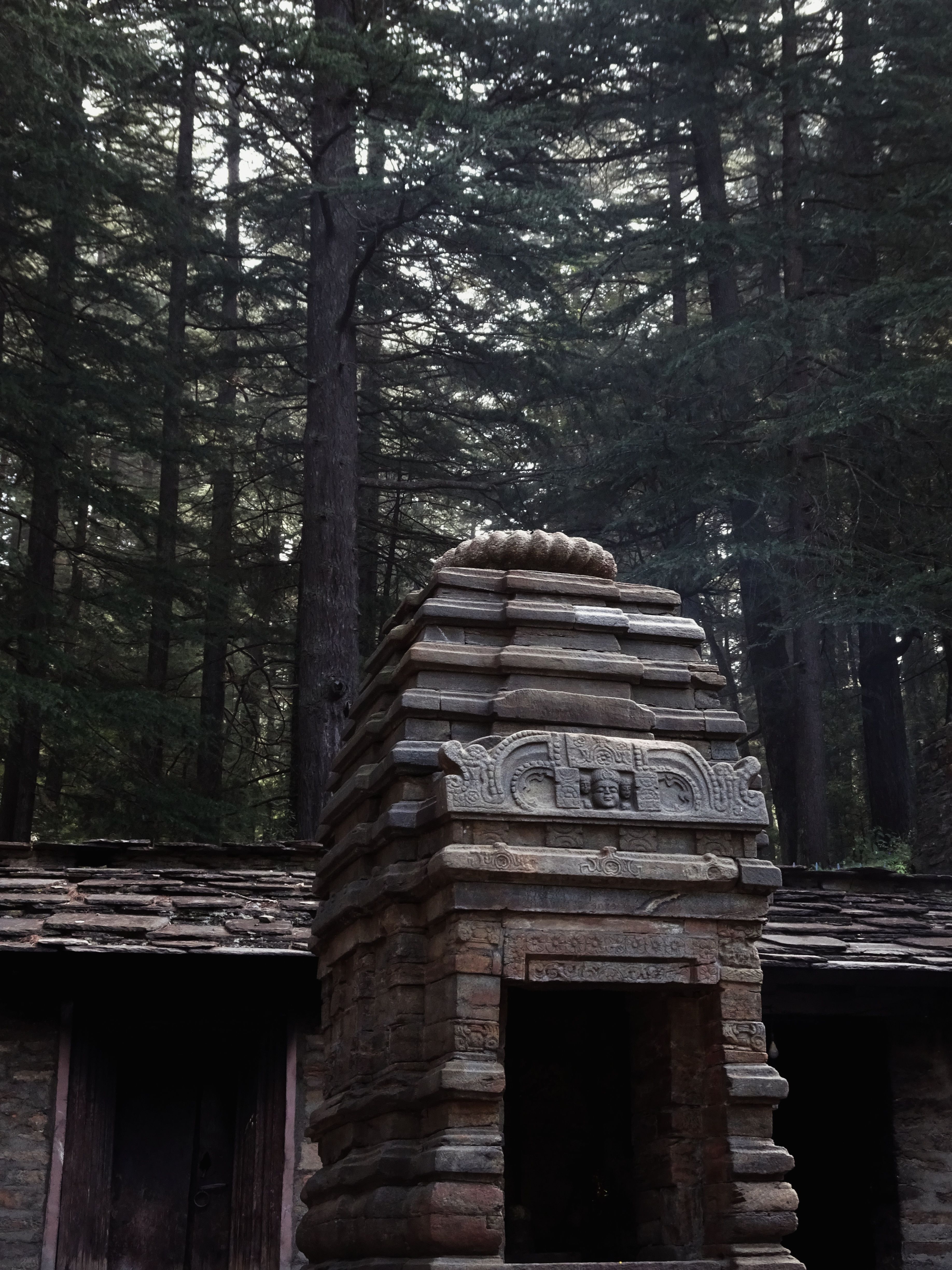 Ancient Stone Temple Amidst Dense Forest · Free Stock Photo