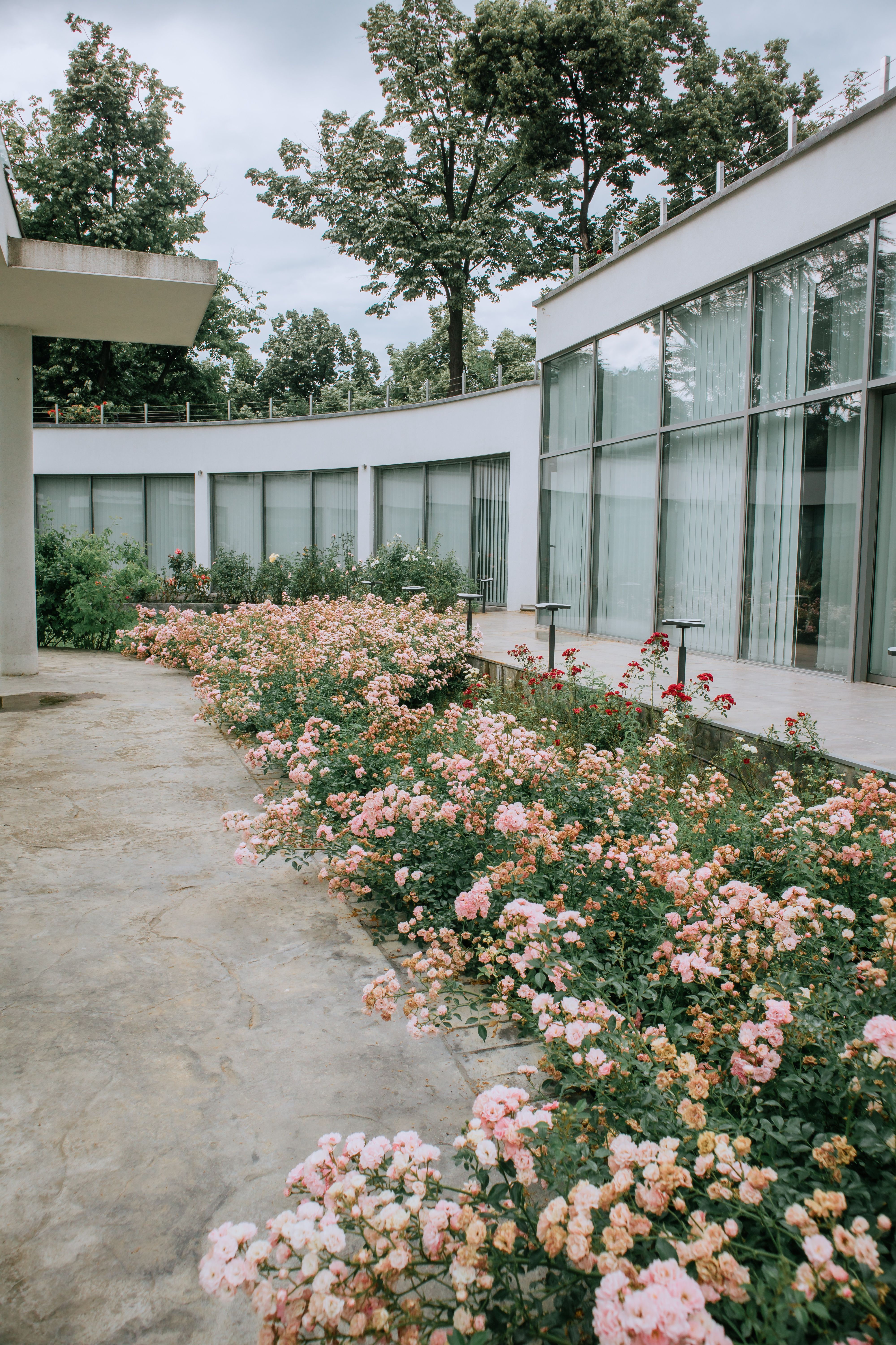 Modern Building with Flower Garden View · Free Stock Photo