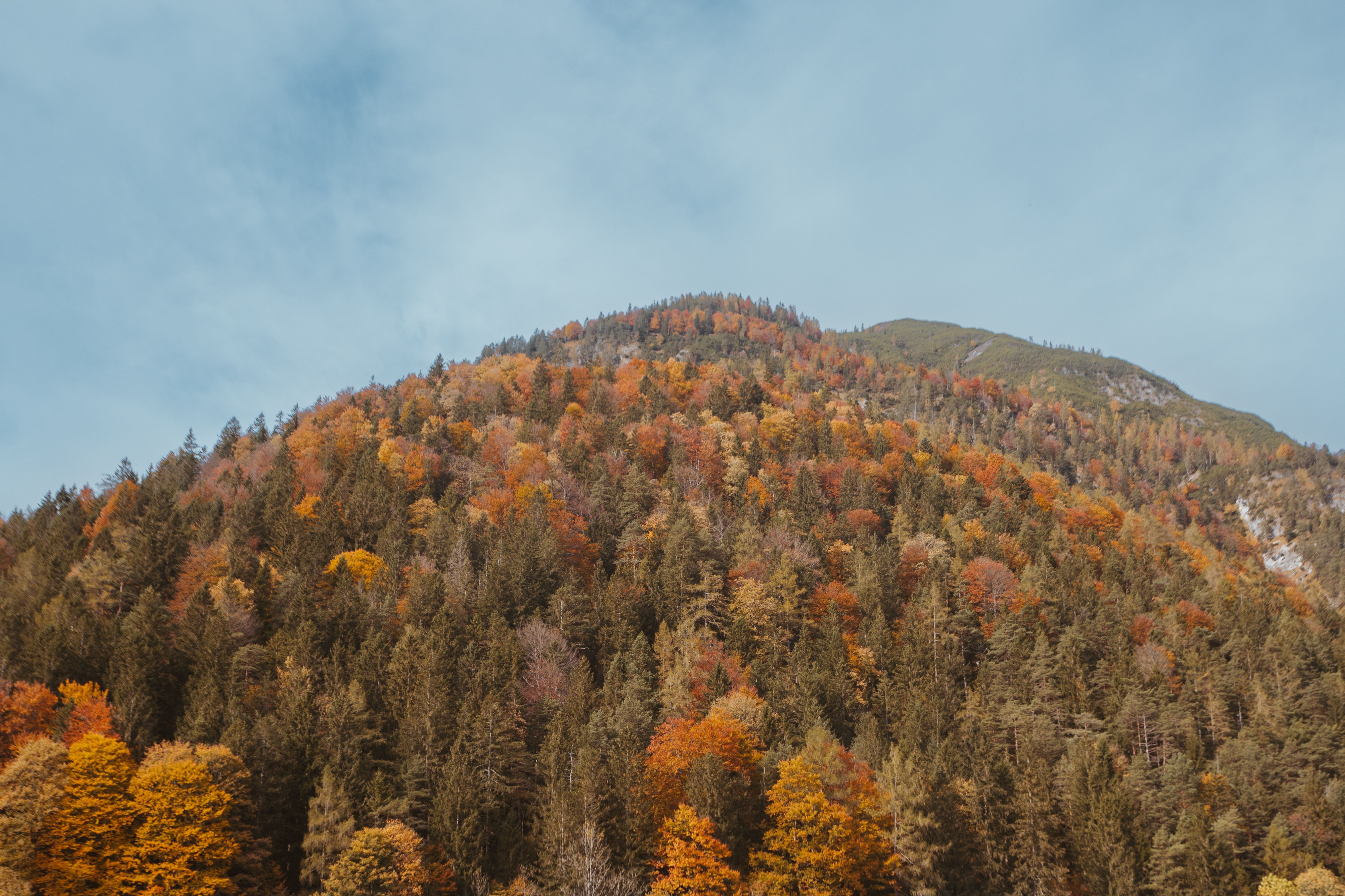 Autumn Colors in the Mountains of Tirol, Austria · Free Stock Photo
