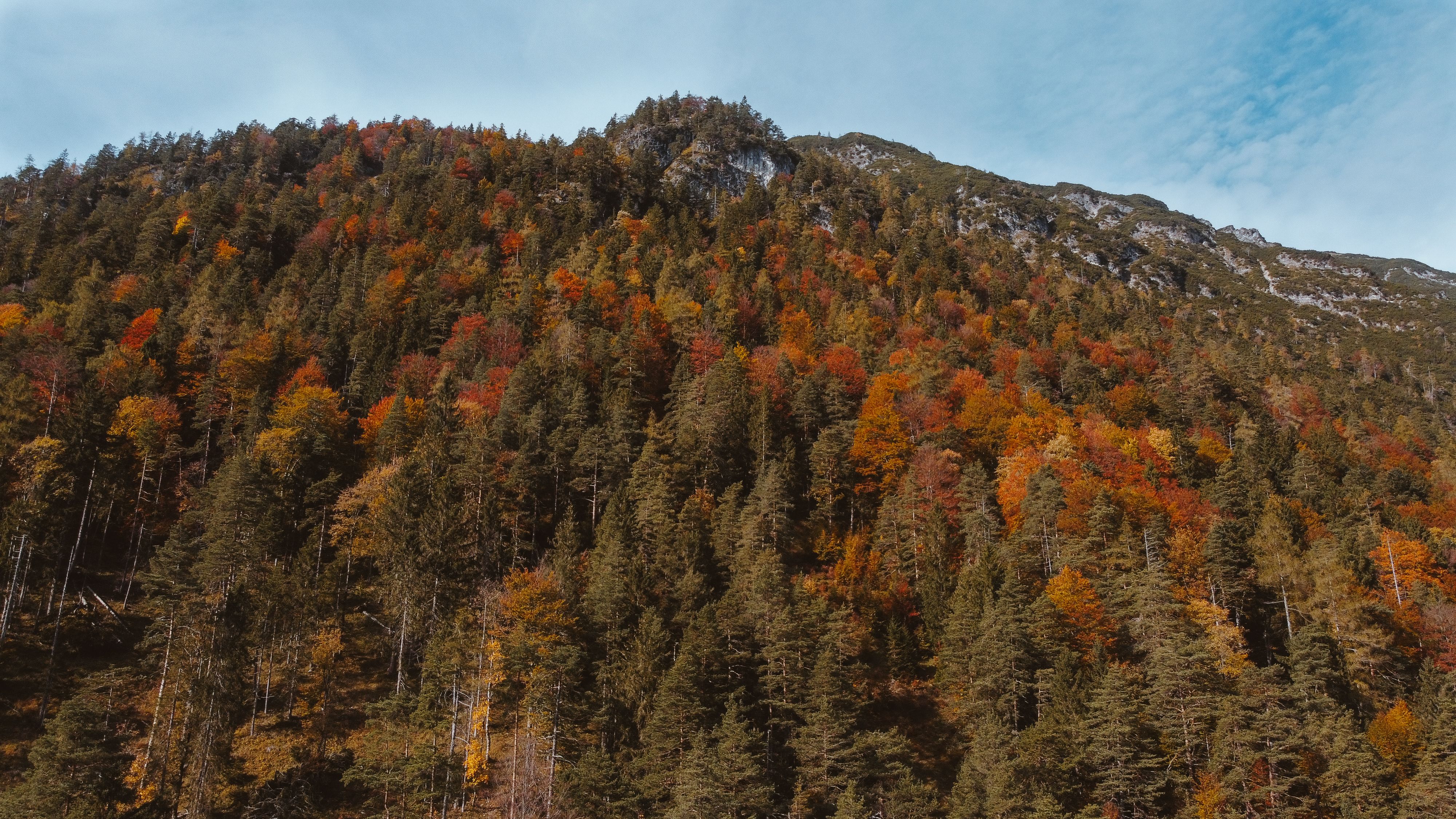 Autumn Foliage in Tyrol Mountain Range · Free Stock Photo