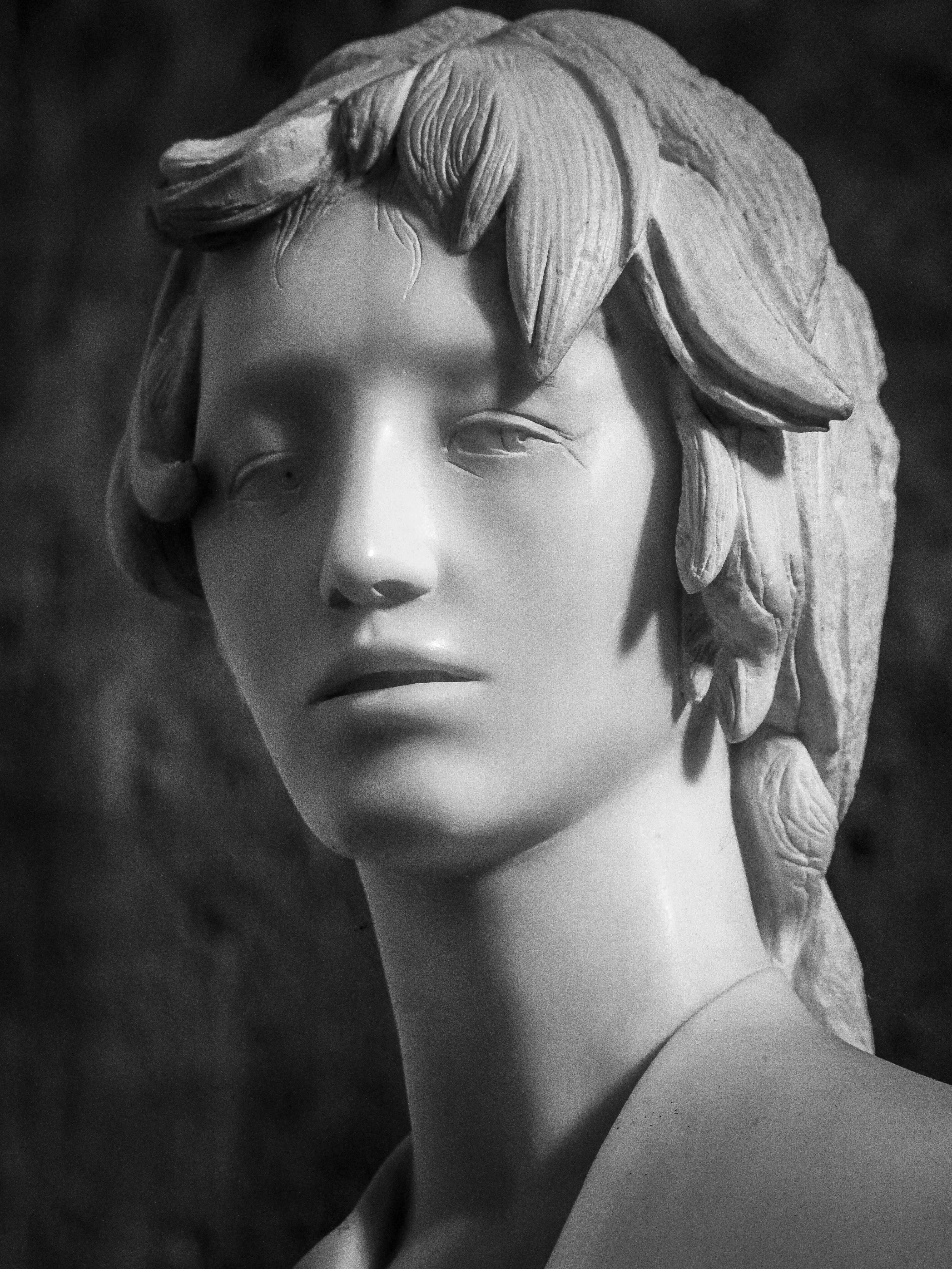 Elegant Classical Sculpture in Black and White · Free Stock Photo