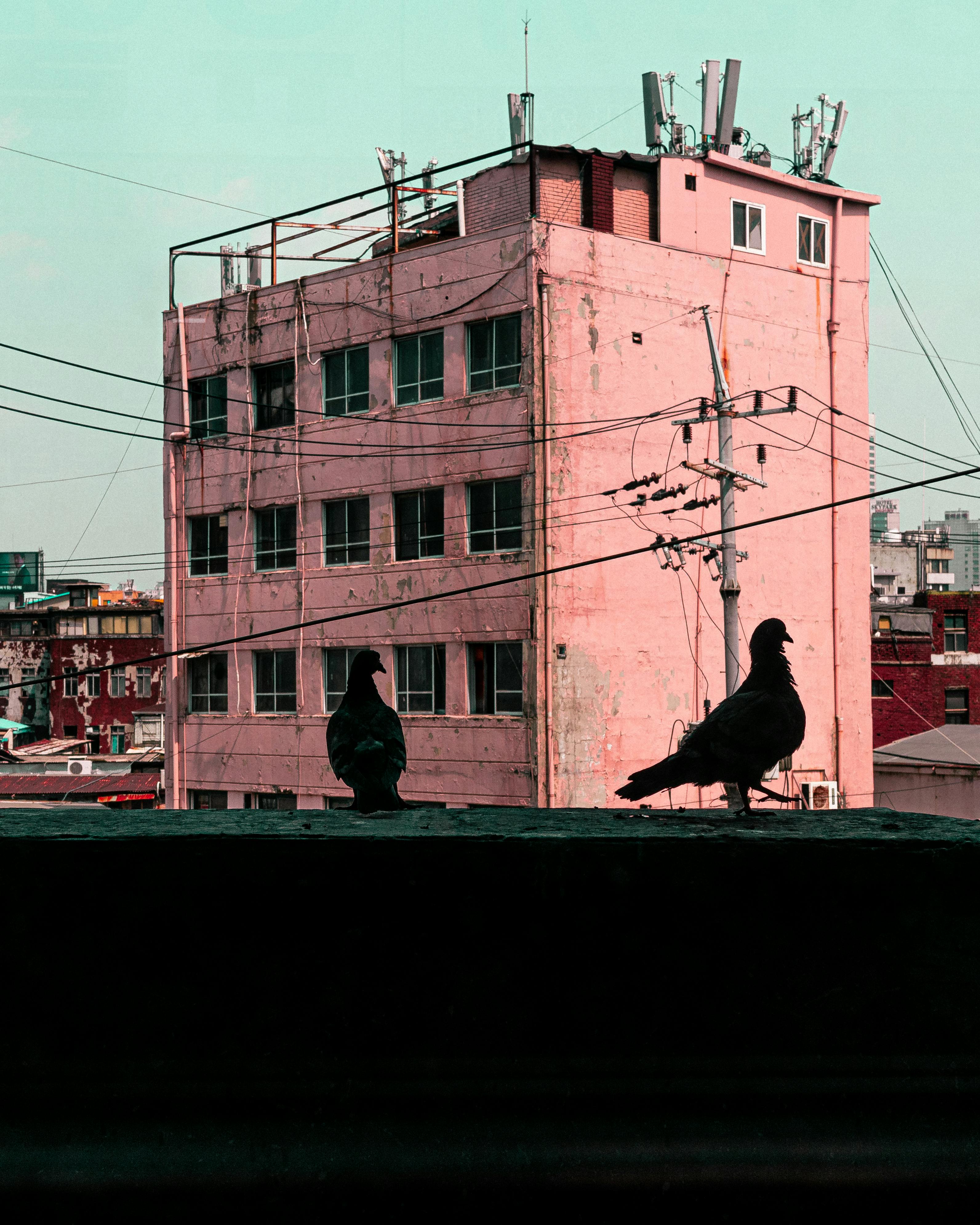 250+ Great Real Photos · Pexels · Free Stock Photos