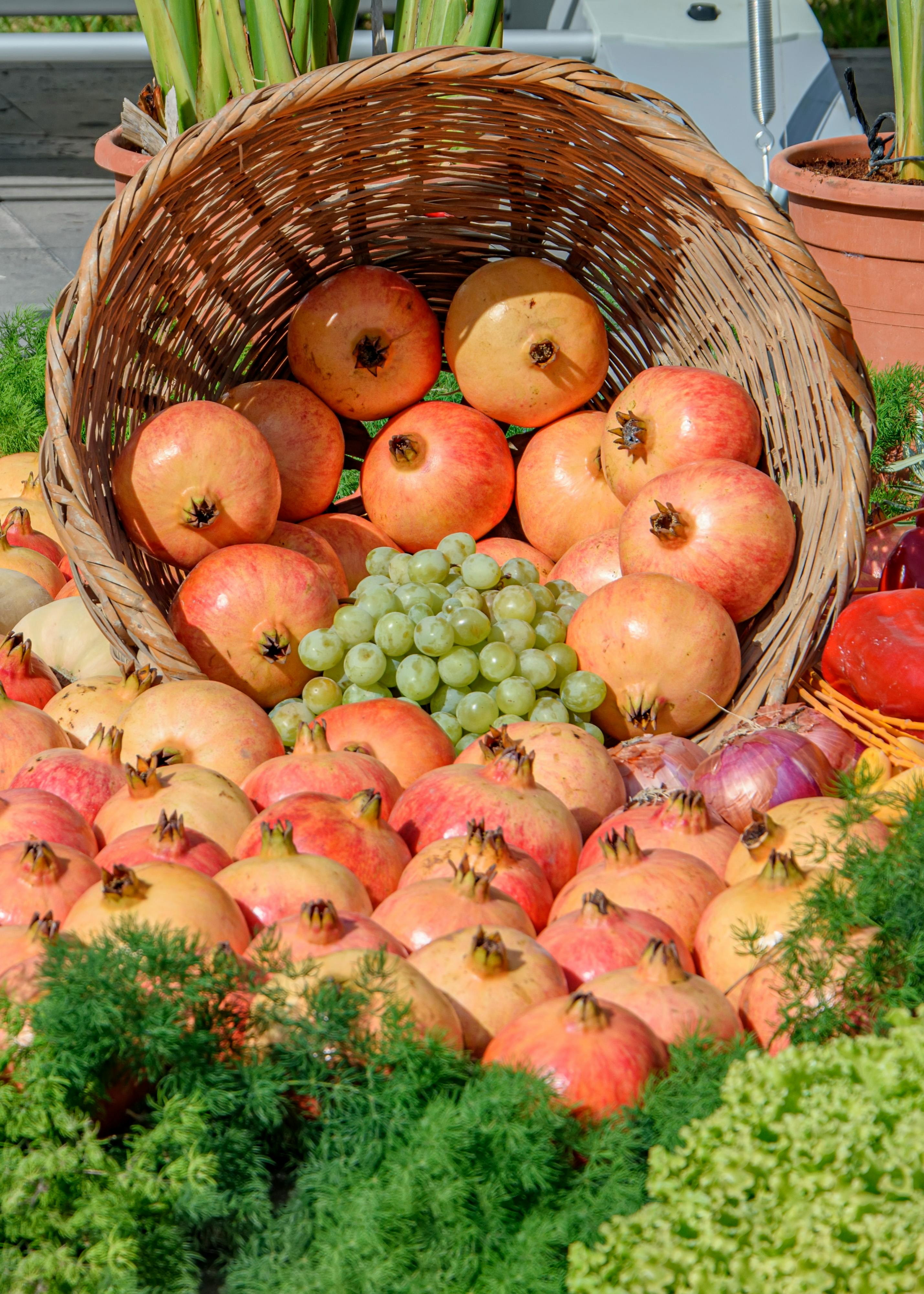 Abundante Cosecha De Frutas En Cesta De Mimbre · Foto de stock gratuita