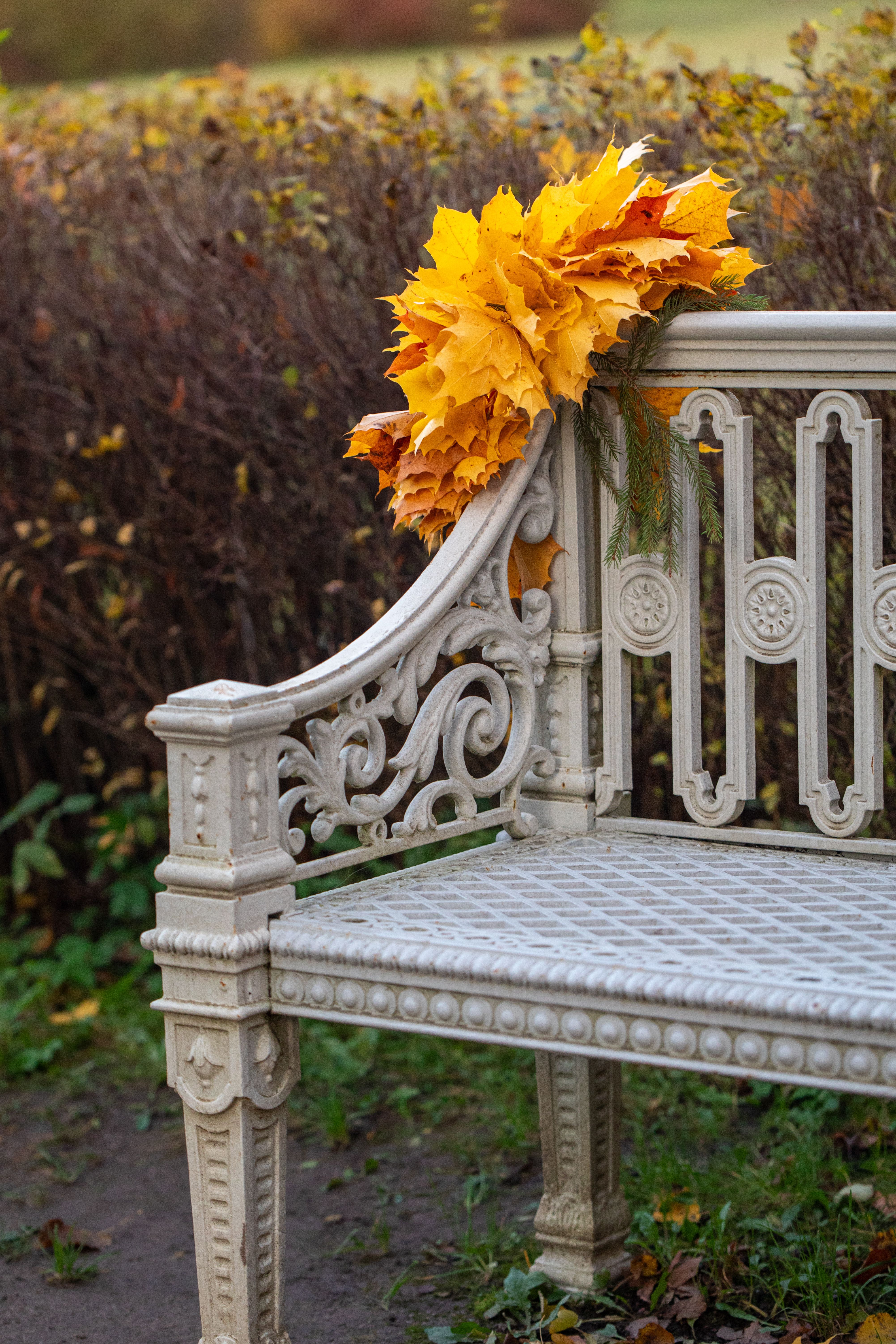 Elegant Park Bench Adorned with Autumn Leaves · Free Stock Photo