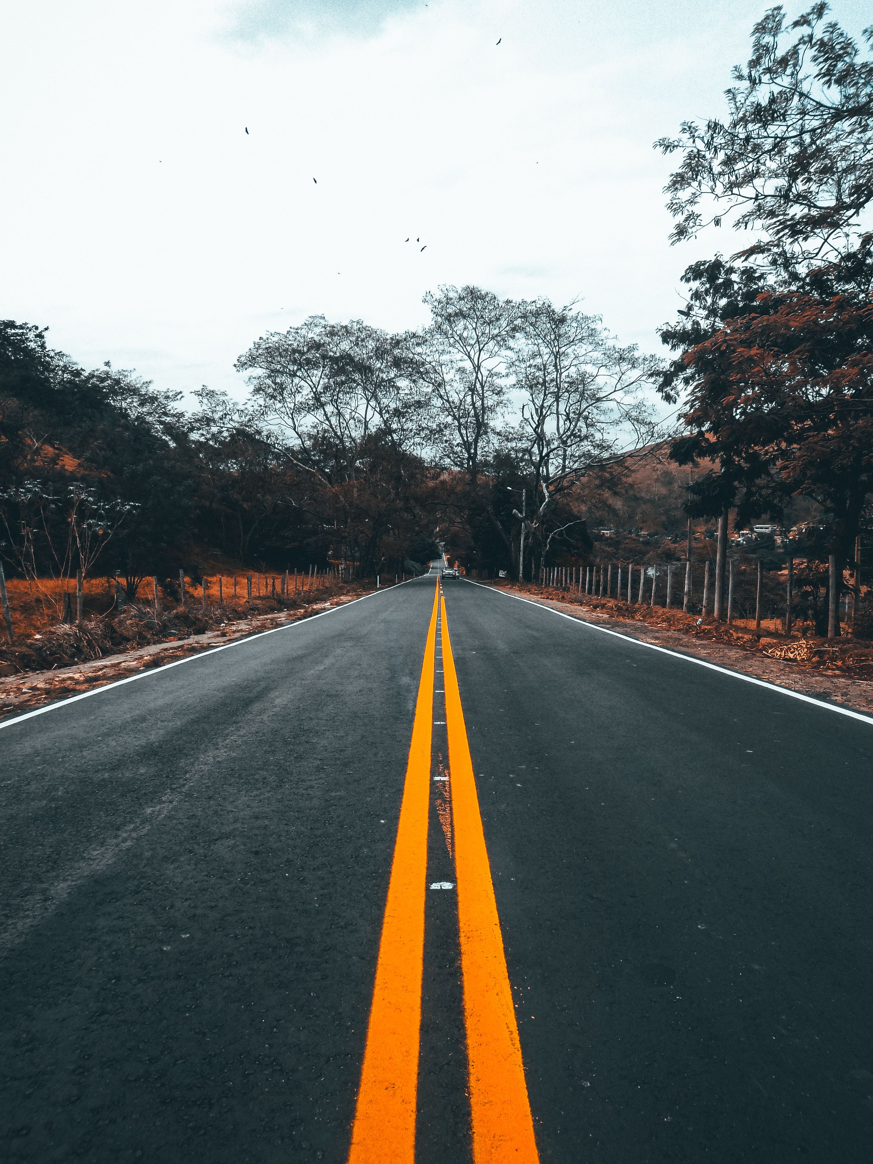 Scenic Open Road in Autumn Forest · Free Stock Photo