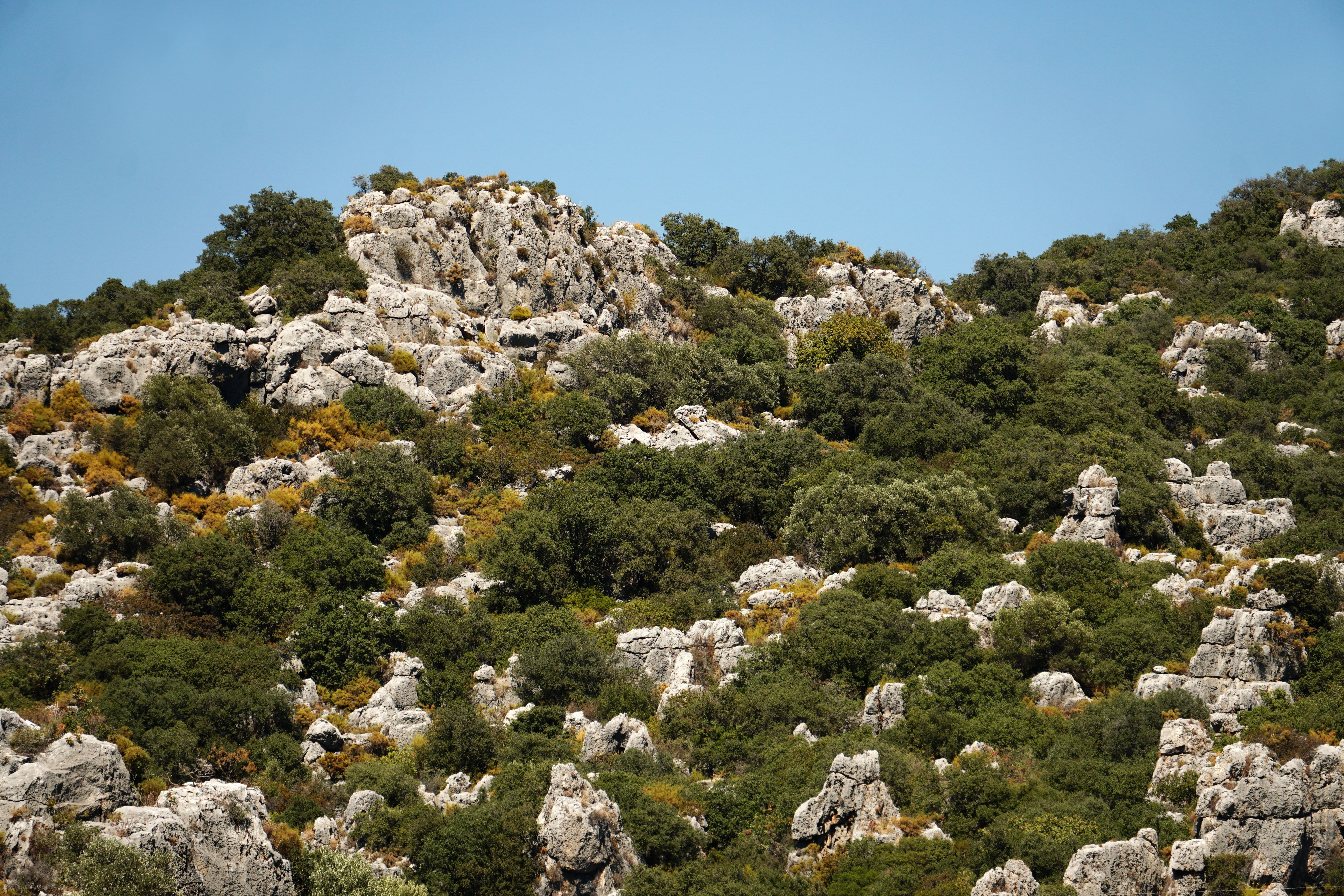 Rugged Rocky Landscape with Dense Vegetation · Free Stock Photo