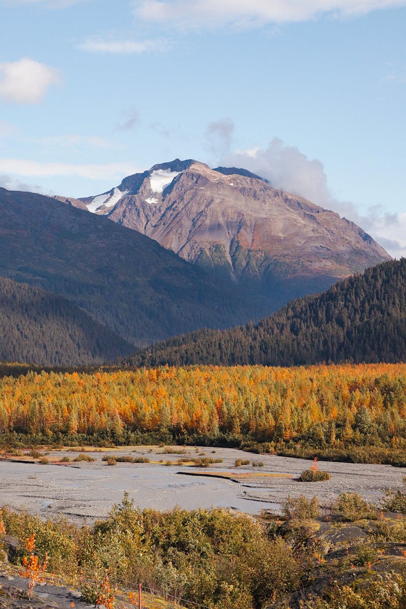 Alaska Photos, Download The BEST Free Alaska Stock Photos & HD Images