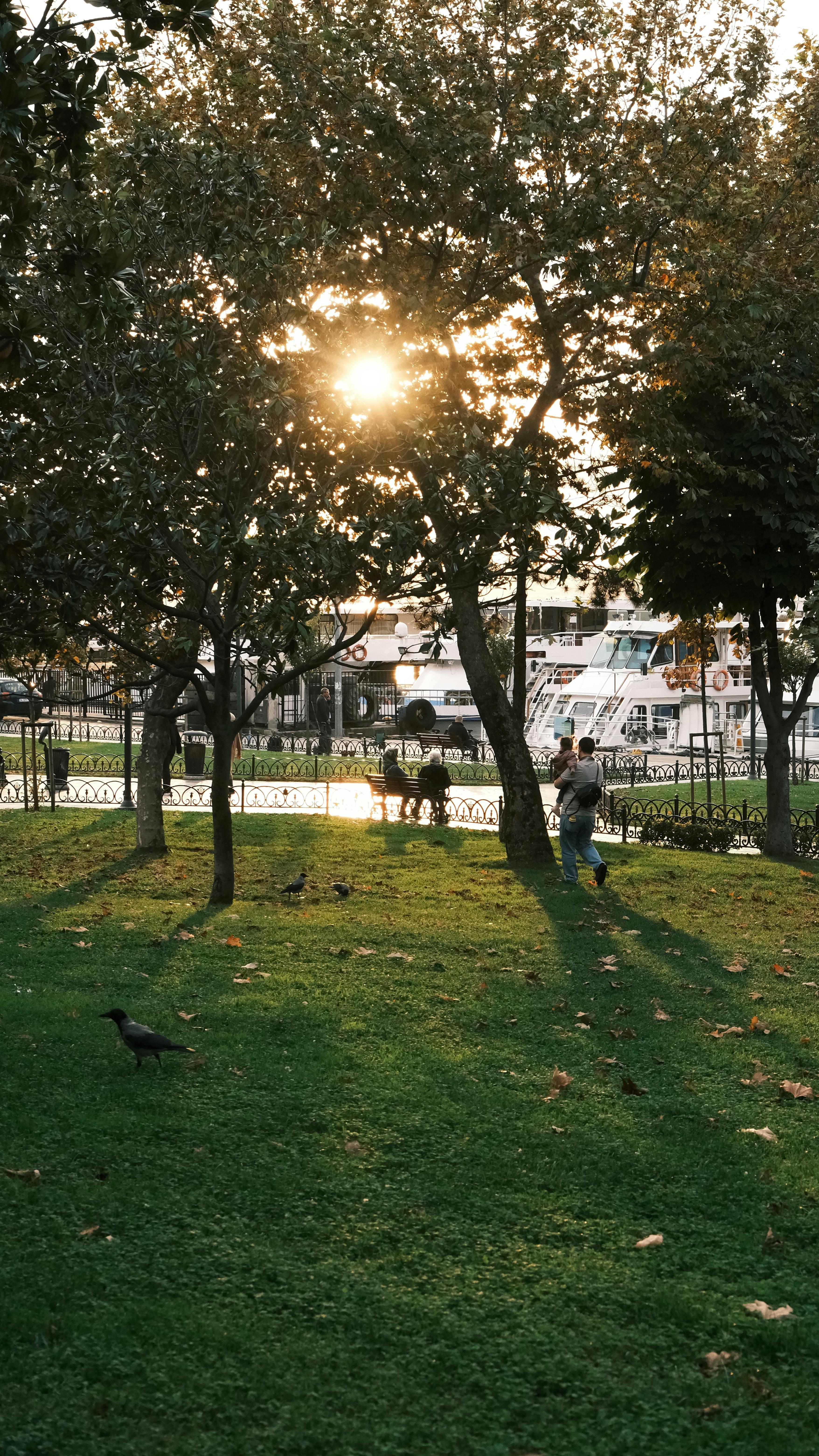 Parque Iluminado Pelo Sol Com Pessoas E árvores Ao Pôr Do Sol · Foto ...