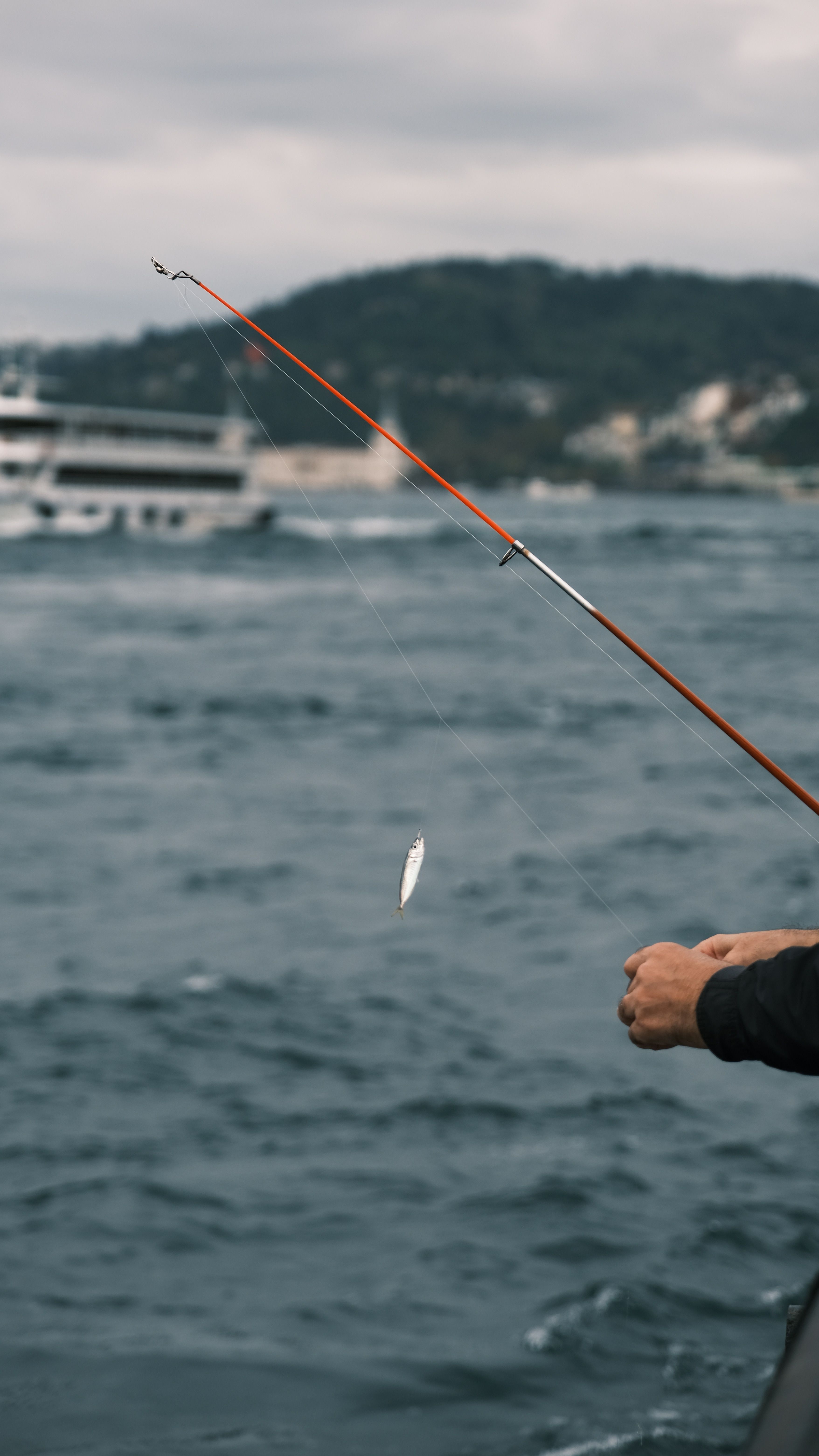 Serene Fishing Scene on a Cloudy Day · Free Stock Photo