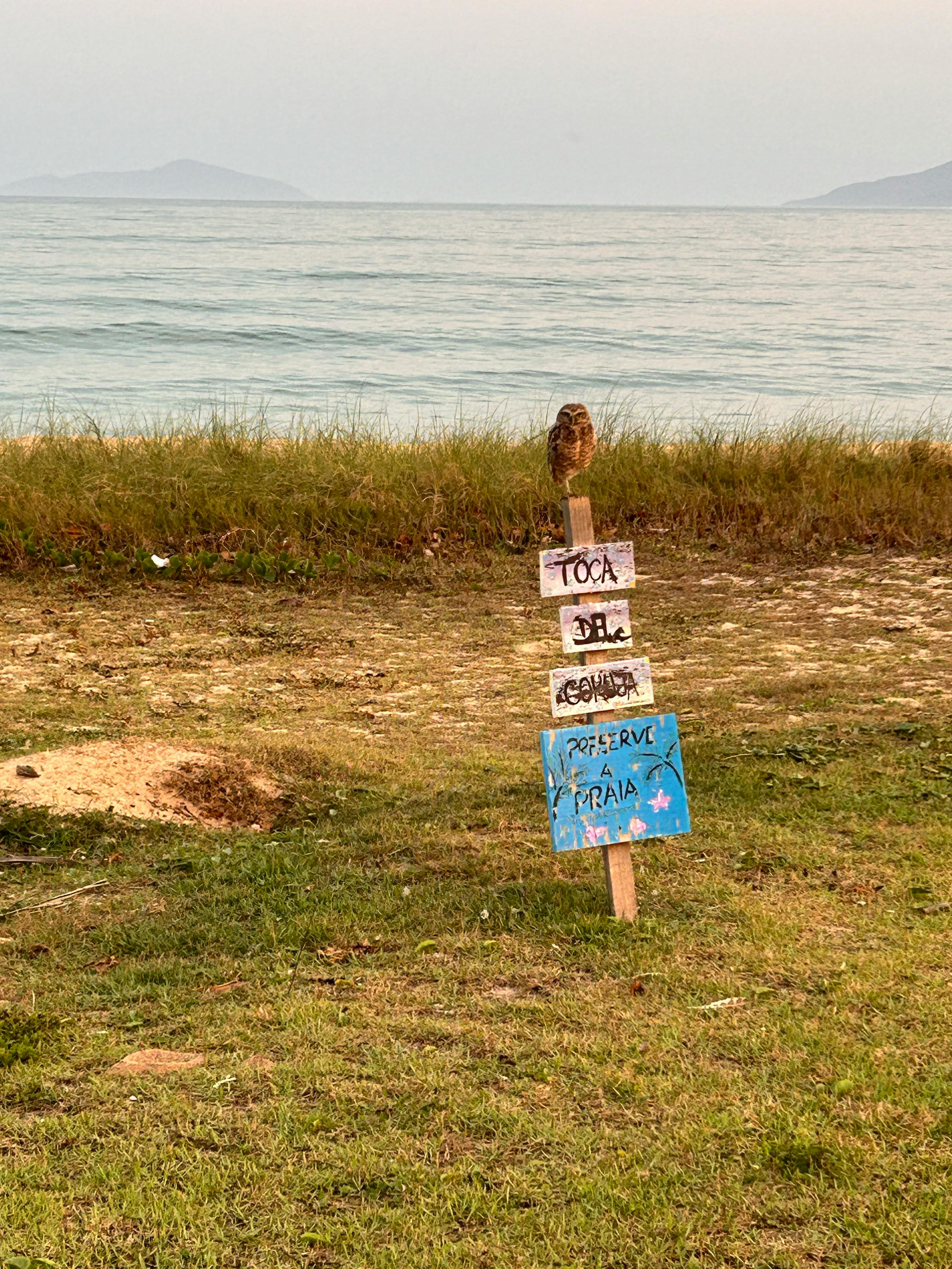 Coastal Landscape with Signage in Brazil · Free Stock Photo