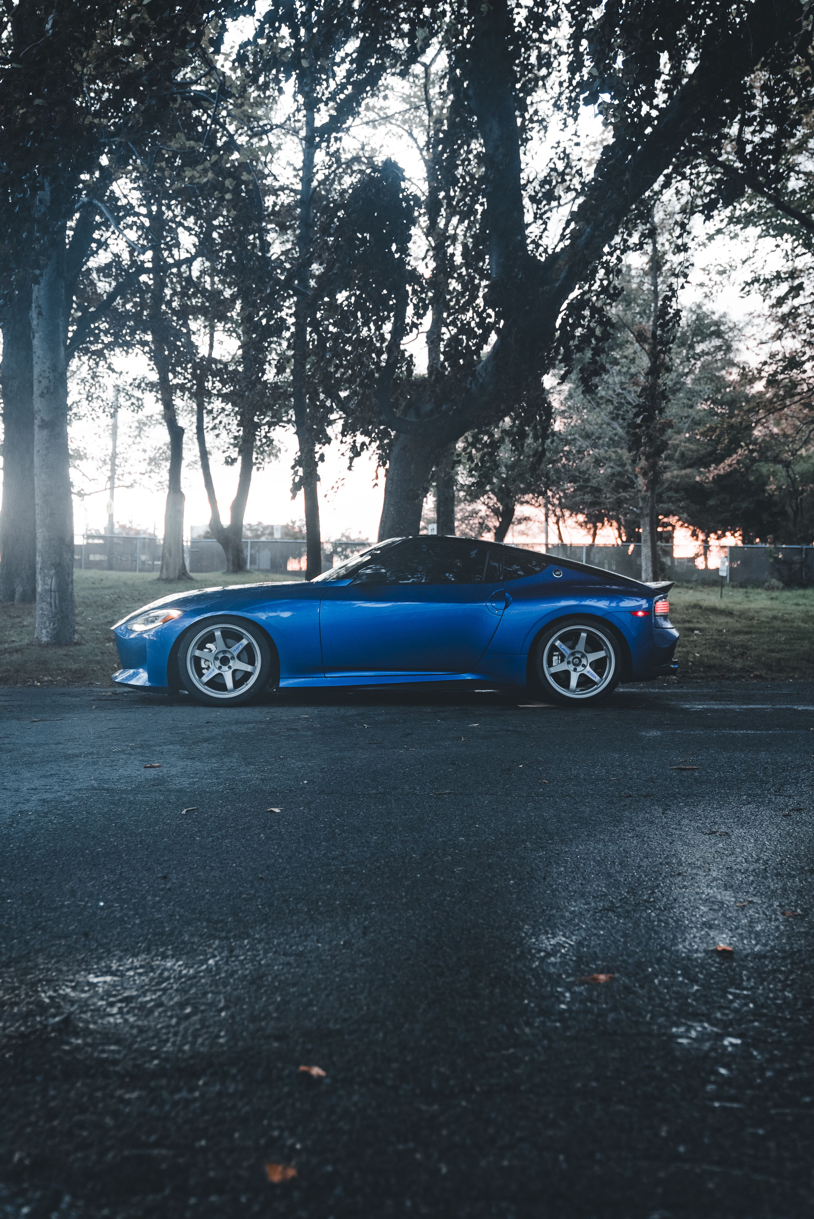 Sleek Blue Sports Car Parked in Scenic Woodland · Free Stock Photo