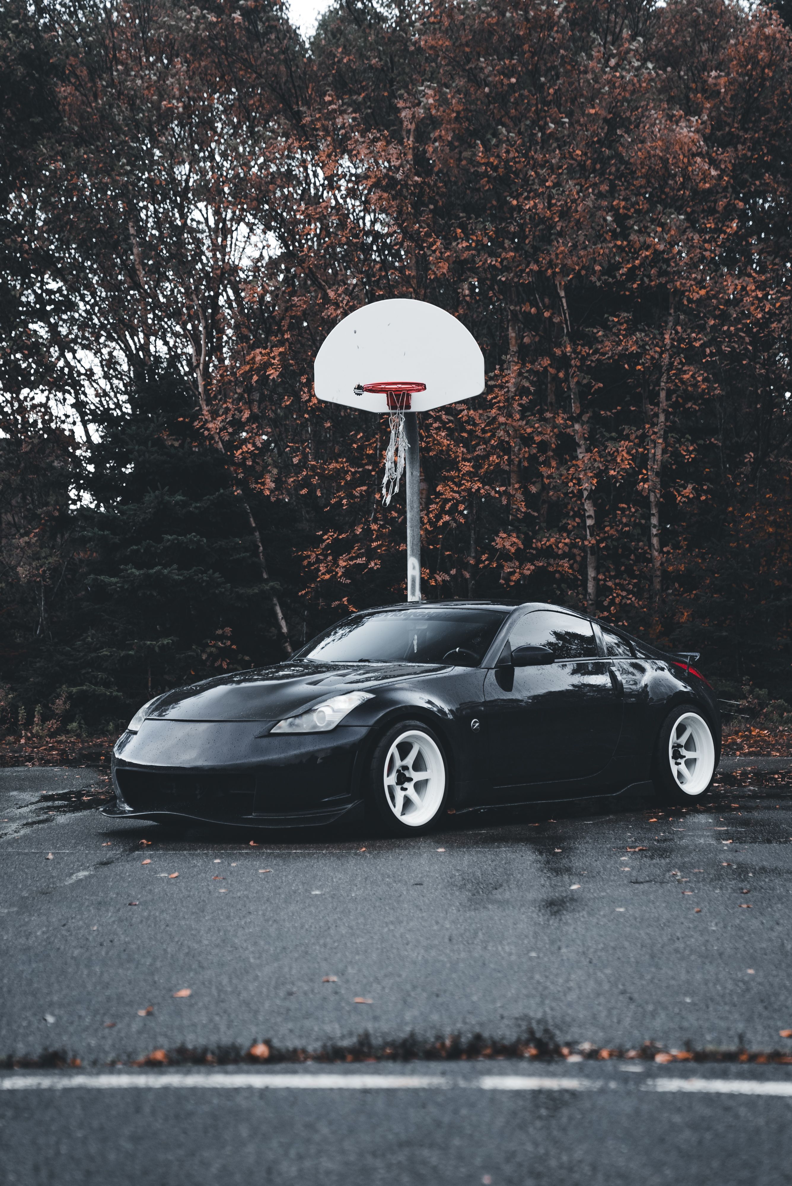 Sleek Black Sports Car Under Basketball Hoop · Free Stock Photo