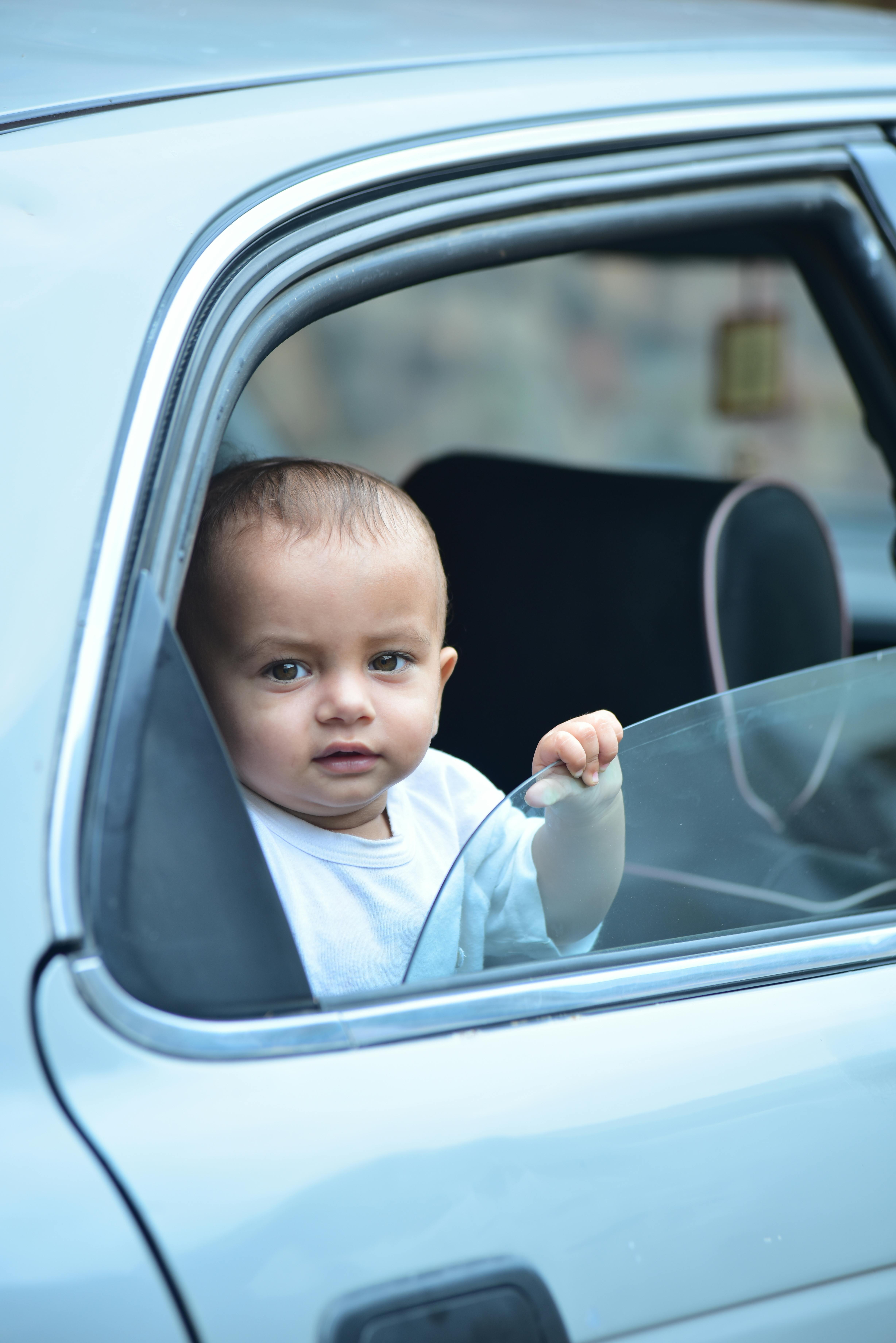 Carseat Photos, Download The BEST Free Carseat Stock Photos & HD Images