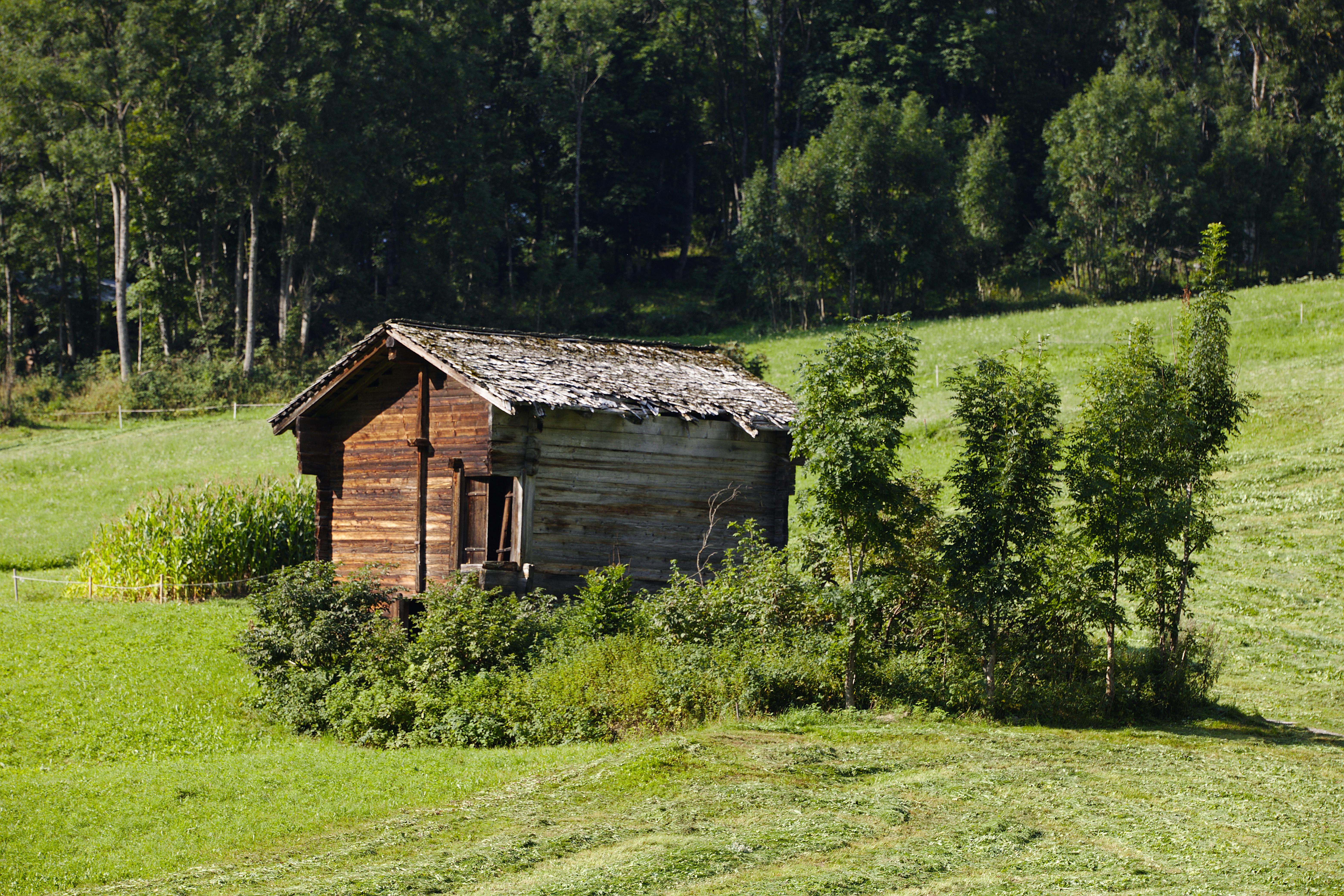 Rustic Wooden Barn on Green Meadow · Free Stock Photo