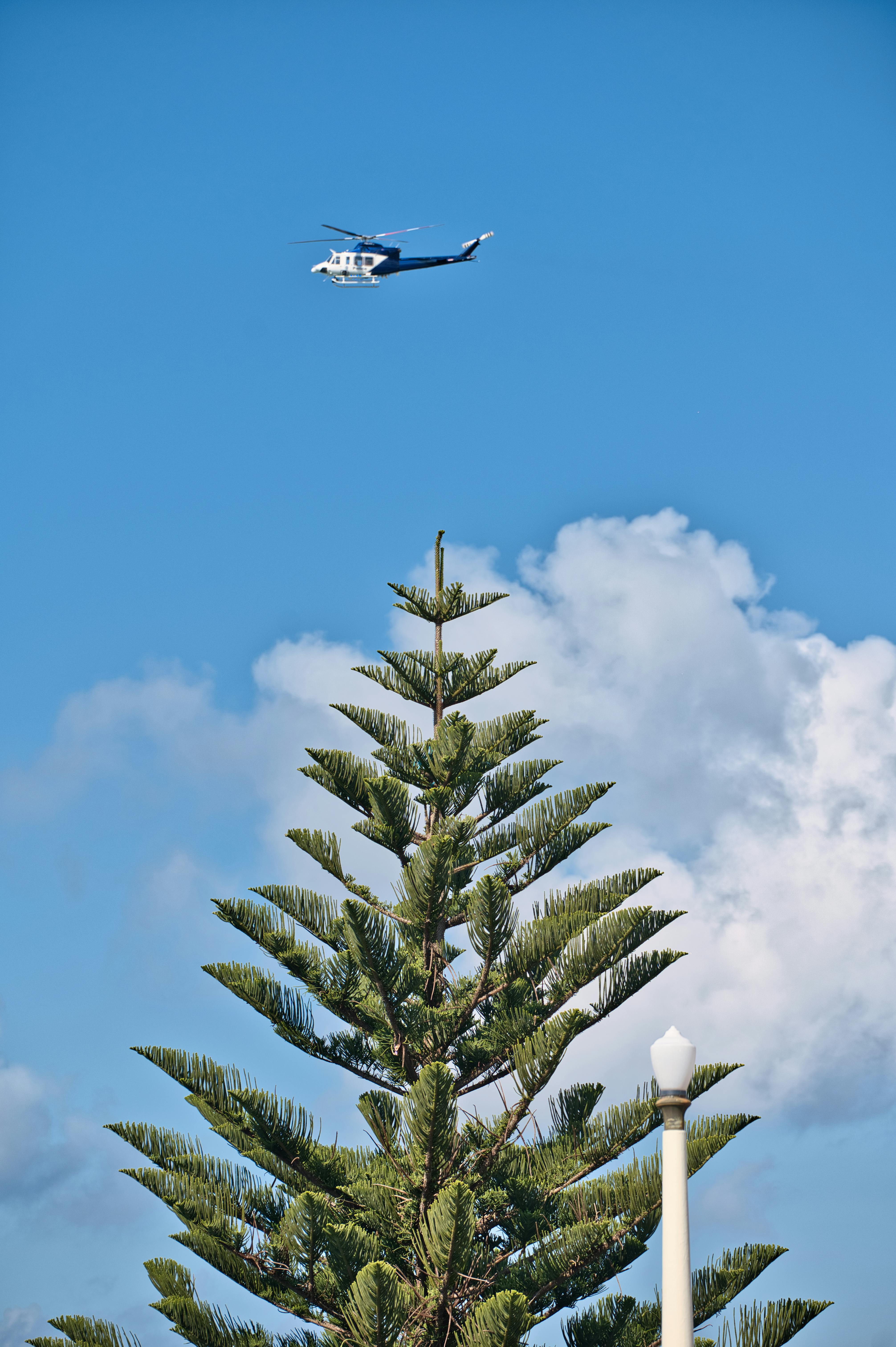 Helicopter Flying Over Bondi Beach Treeline · Free Stock Photo