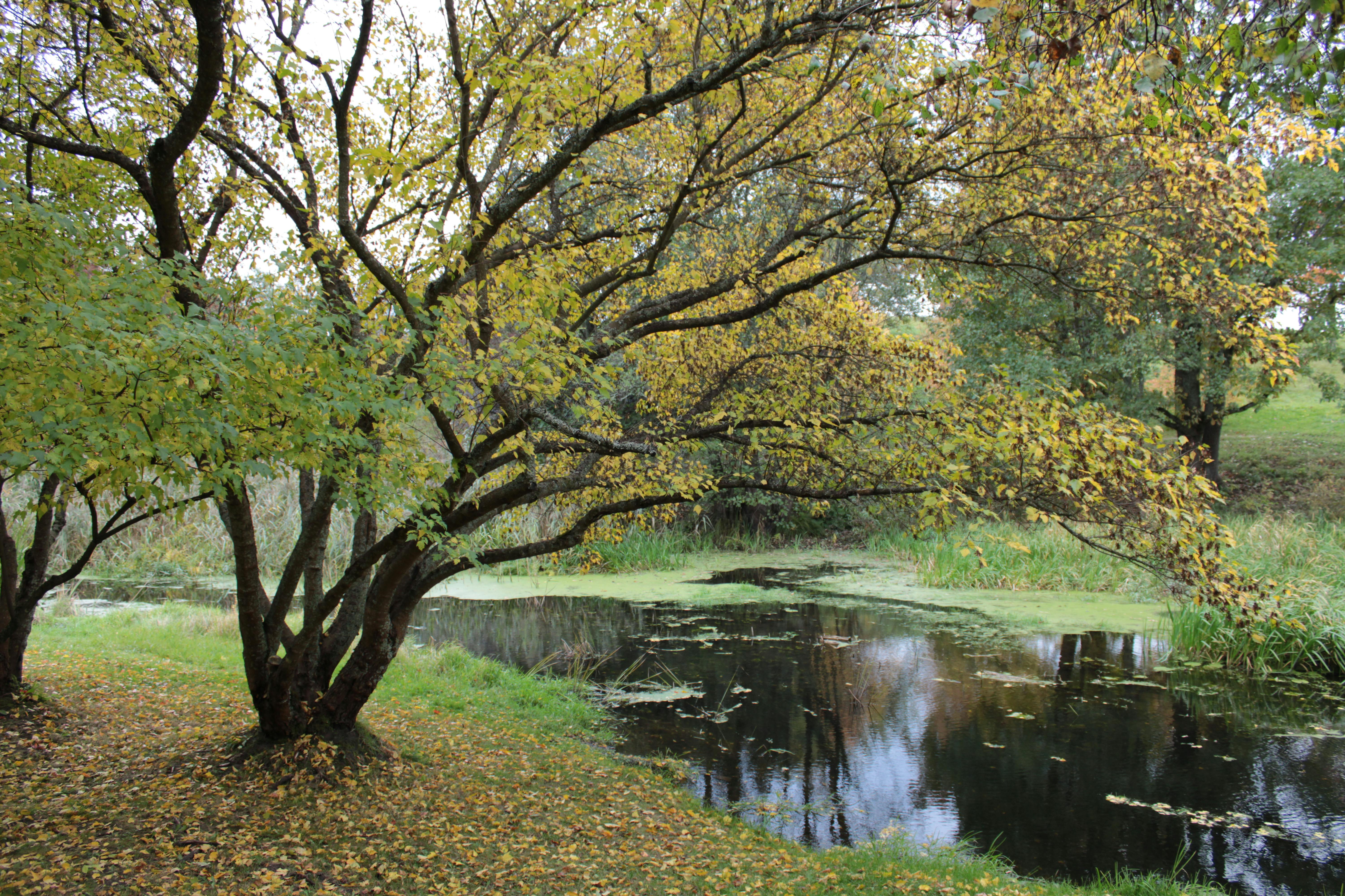 Still Beautiful Photos, Download The BEST Free Still Beautiful Stock ...