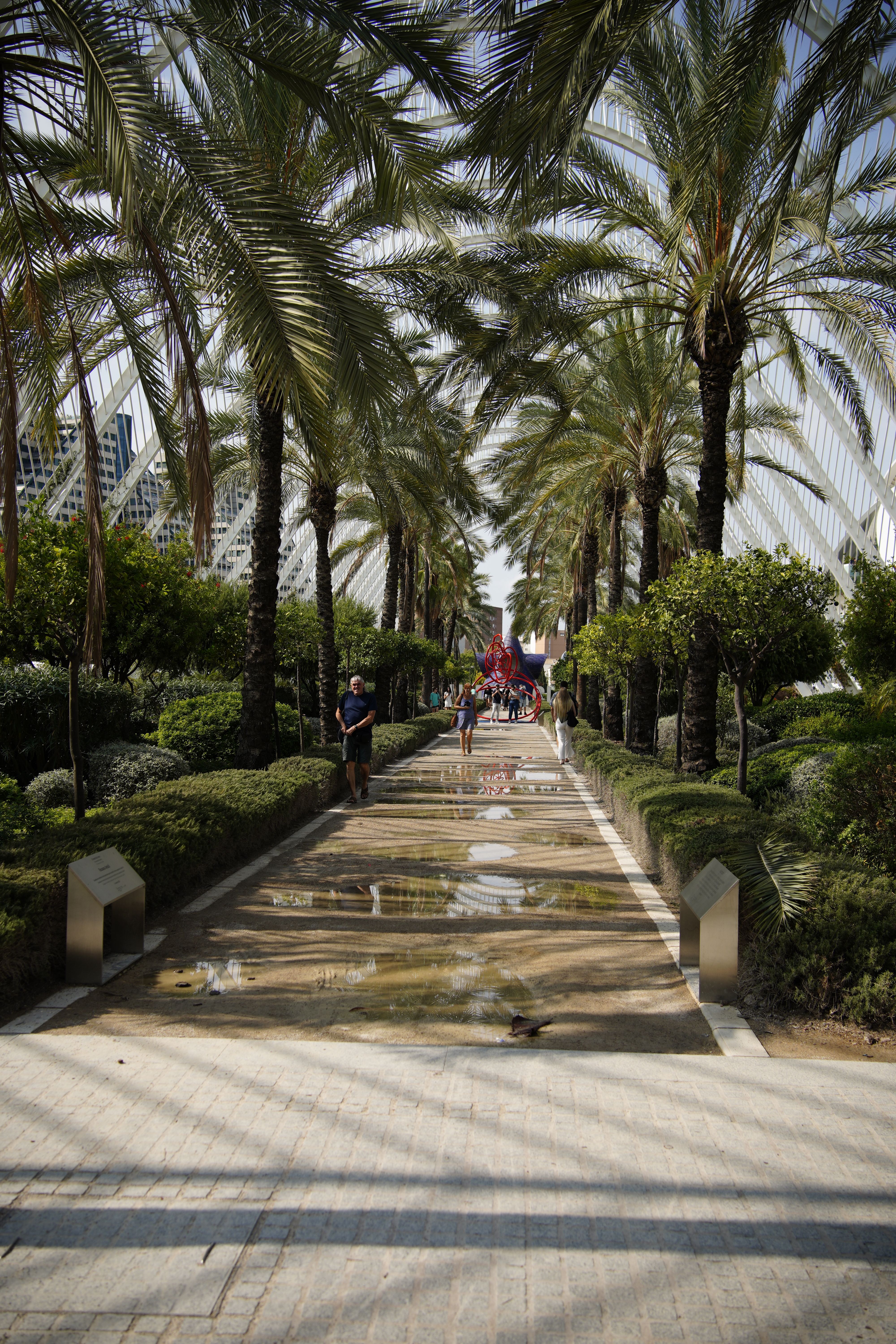 Palm Tree Lined Pathway in a Modern Park · Free Stock Photo