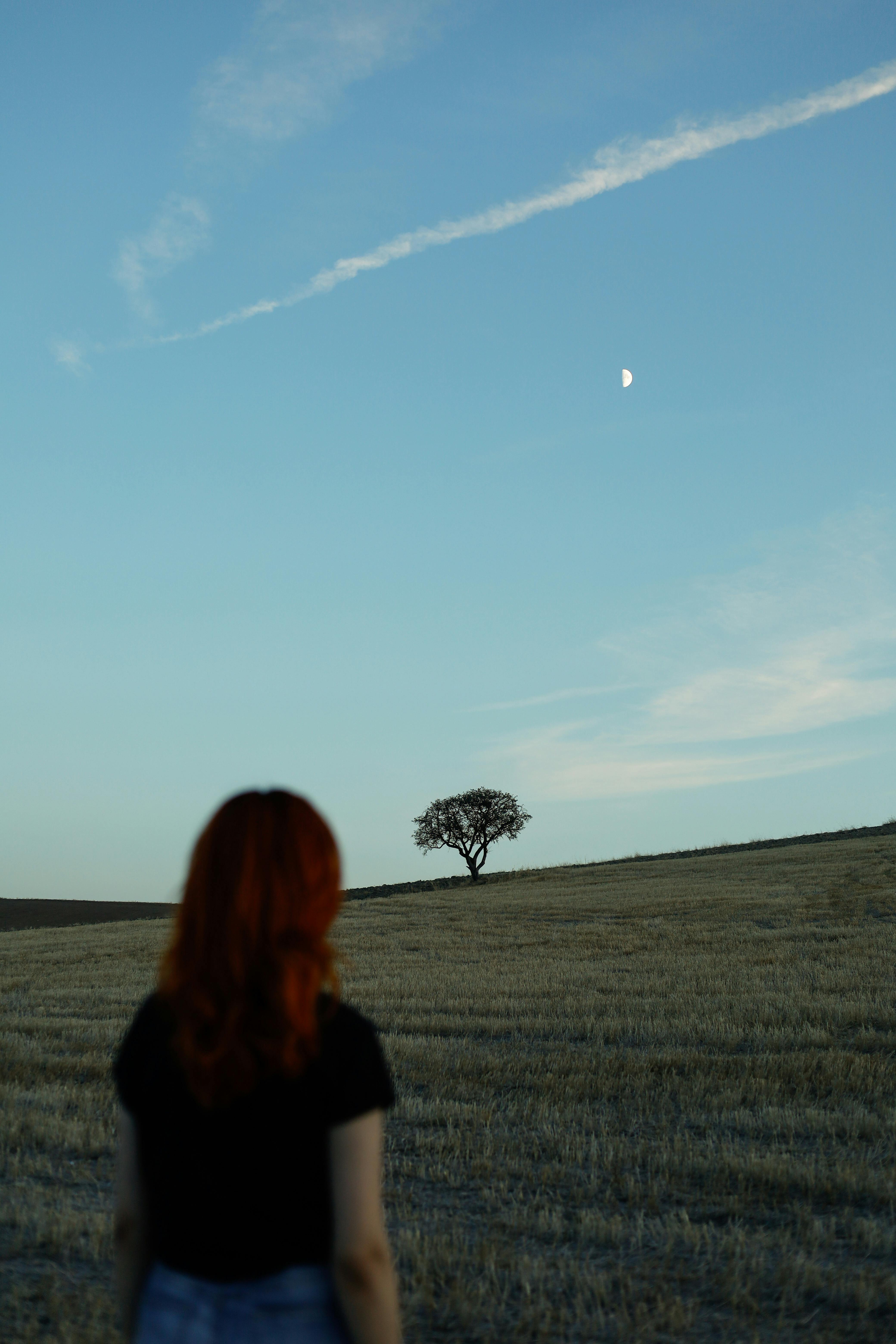 Contemplative Landscape with Lone Tree and Moon · Free Stock Photo