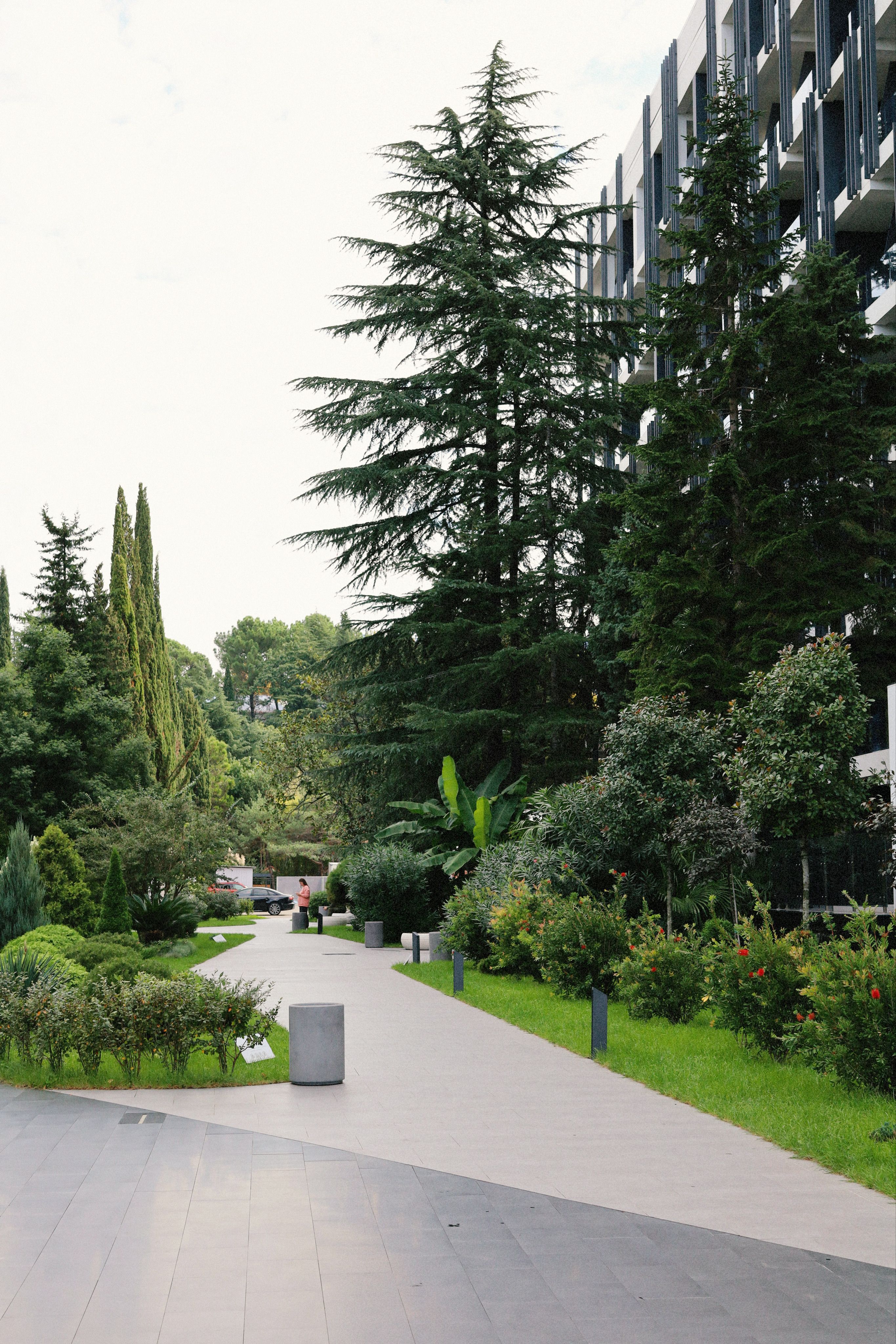 Parque Urbano Moderno Con Vegetación Exuberante Y Pasarela · Foto de ...