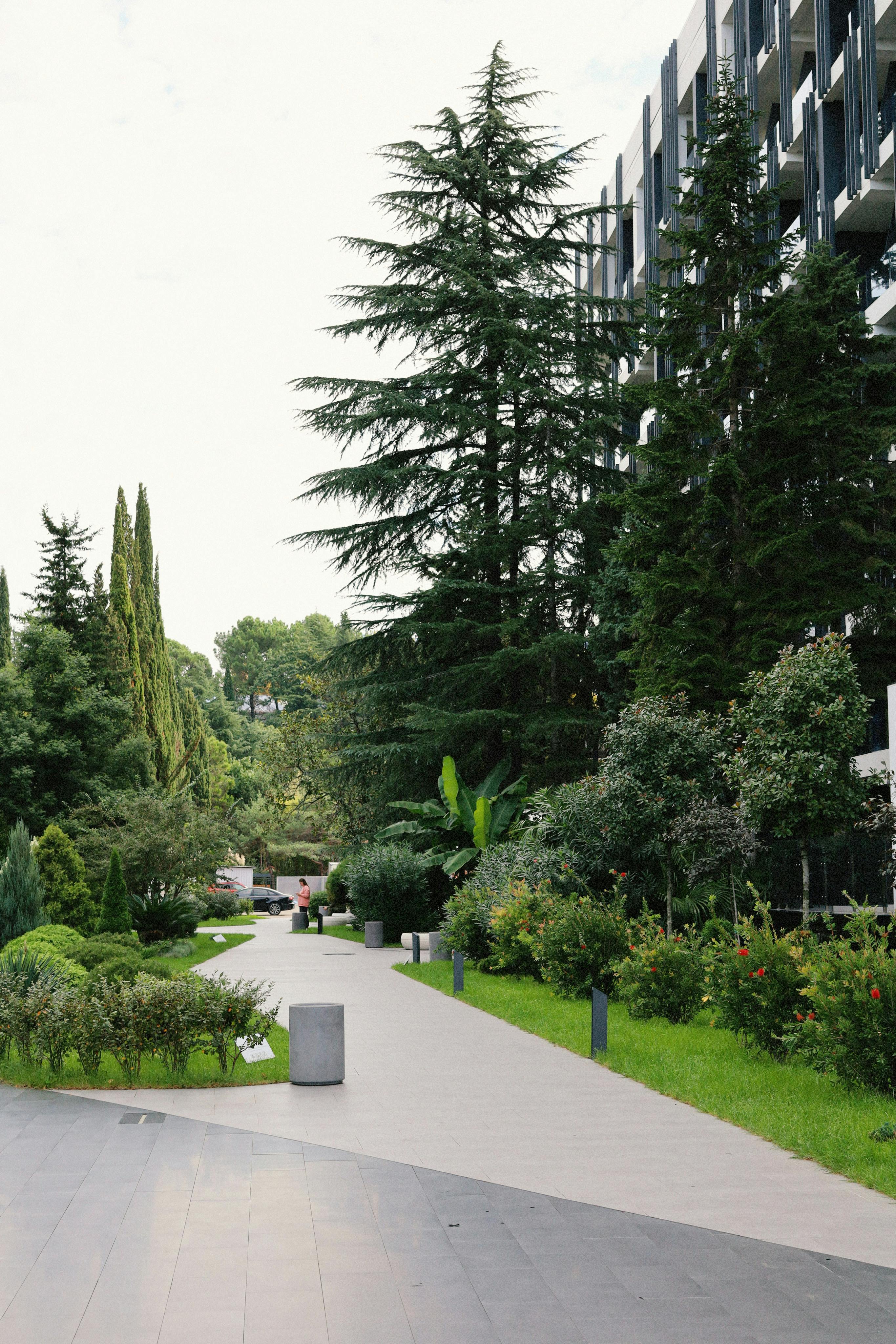 Taman Kota Modern Dengan Tanaman Hijau Rimbun Dan Jalan Setapak · Foto ...