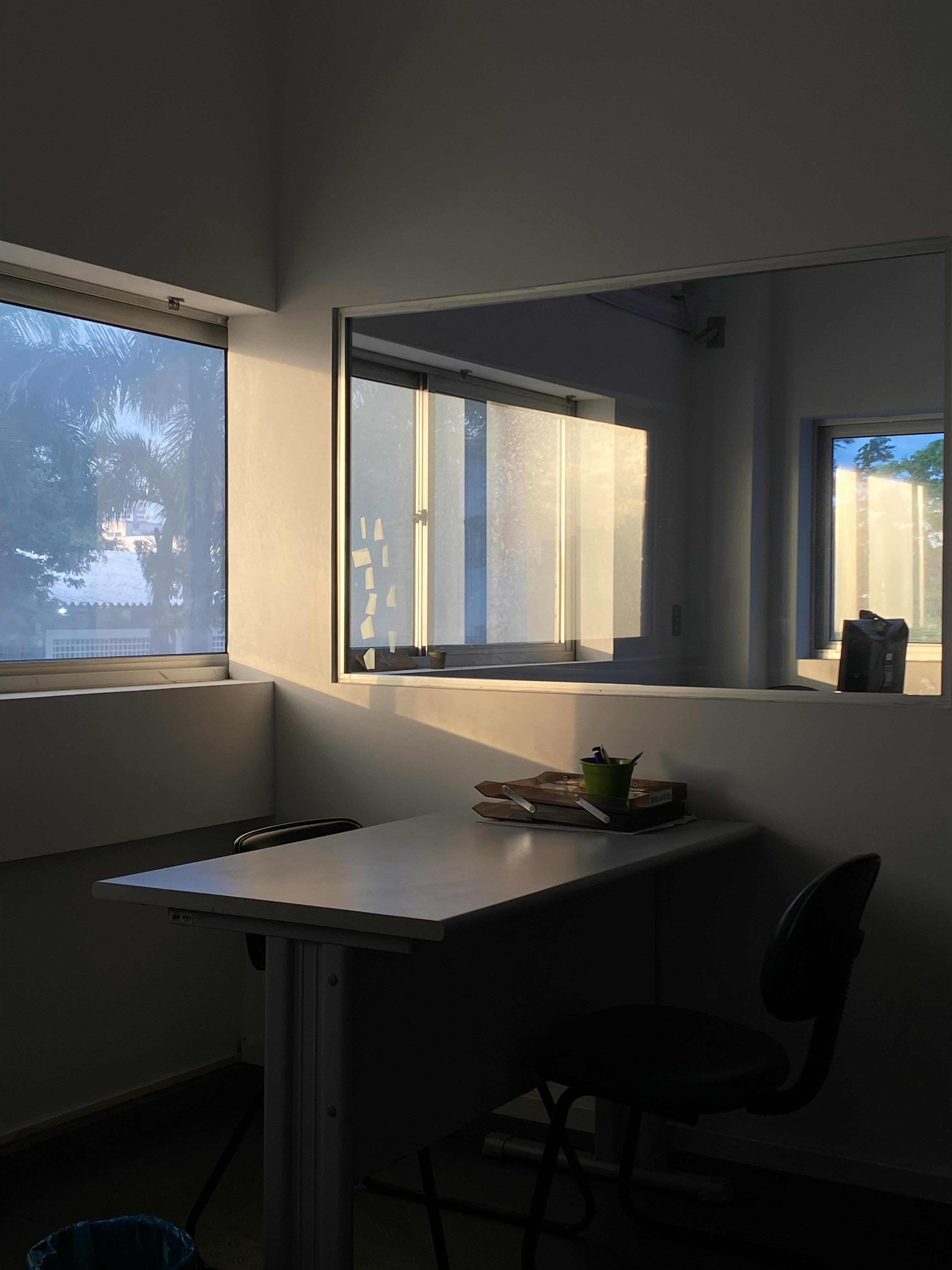 Calm Office Space with Evening Sunlight · Free Stock Photo