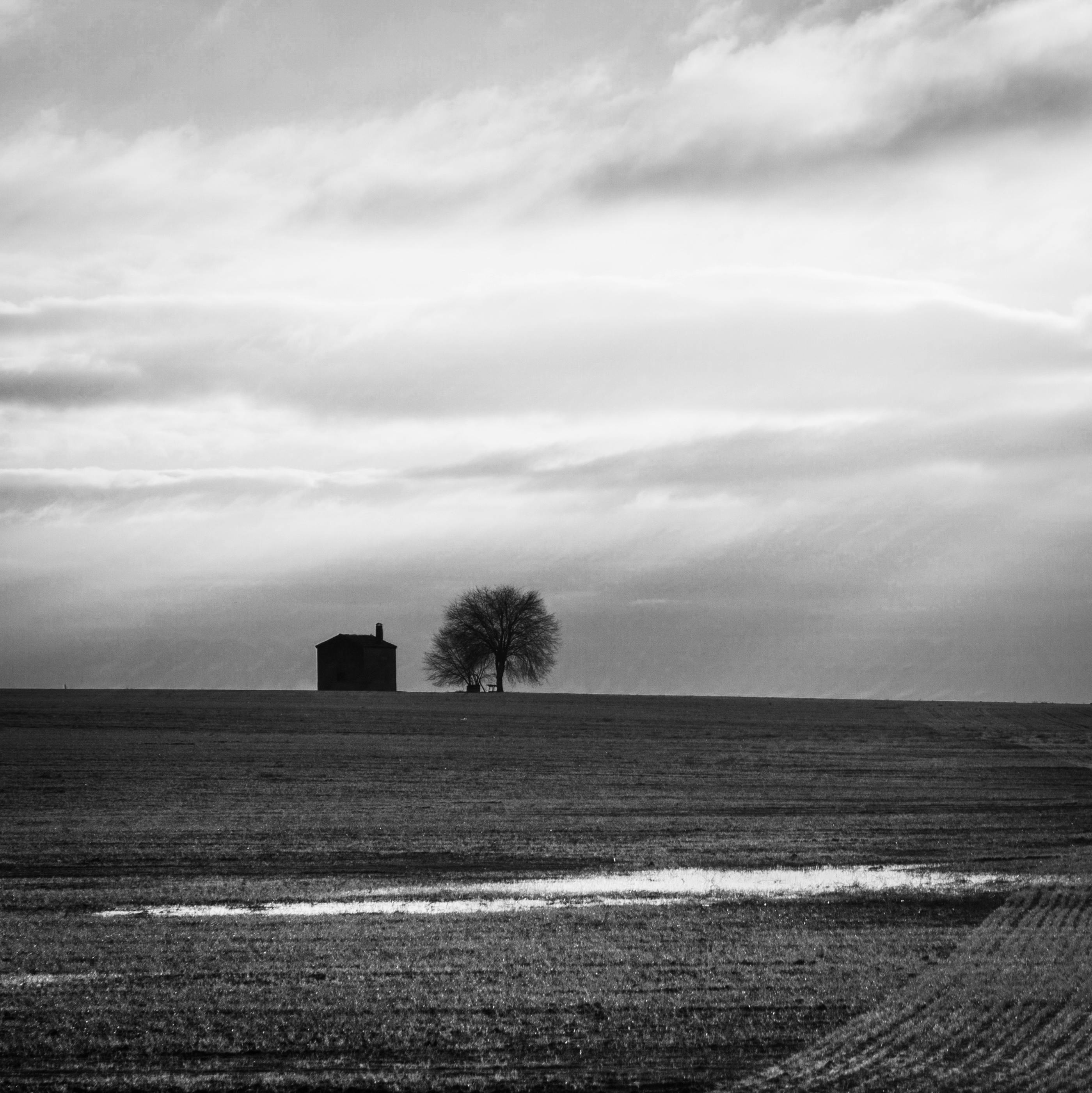 Solitary House and Tree in Vast Landscape · Free Stock Photo