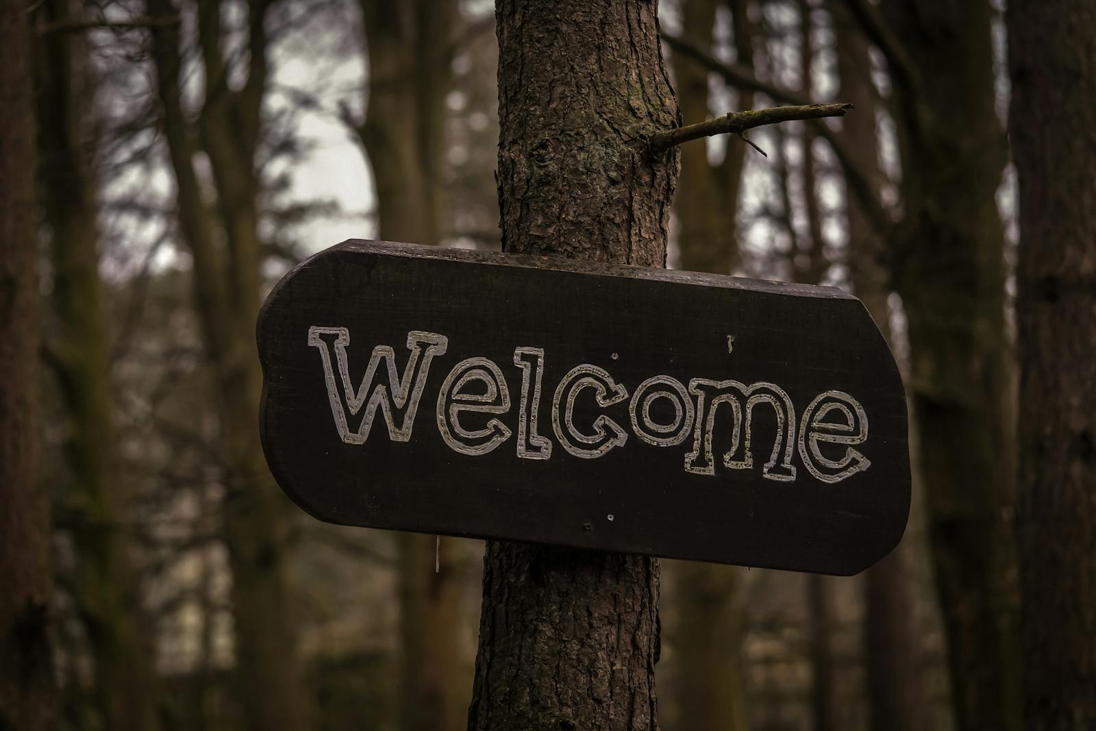 Ppt Background Welcome Photos, Download The BEST Free Ppt Background ...