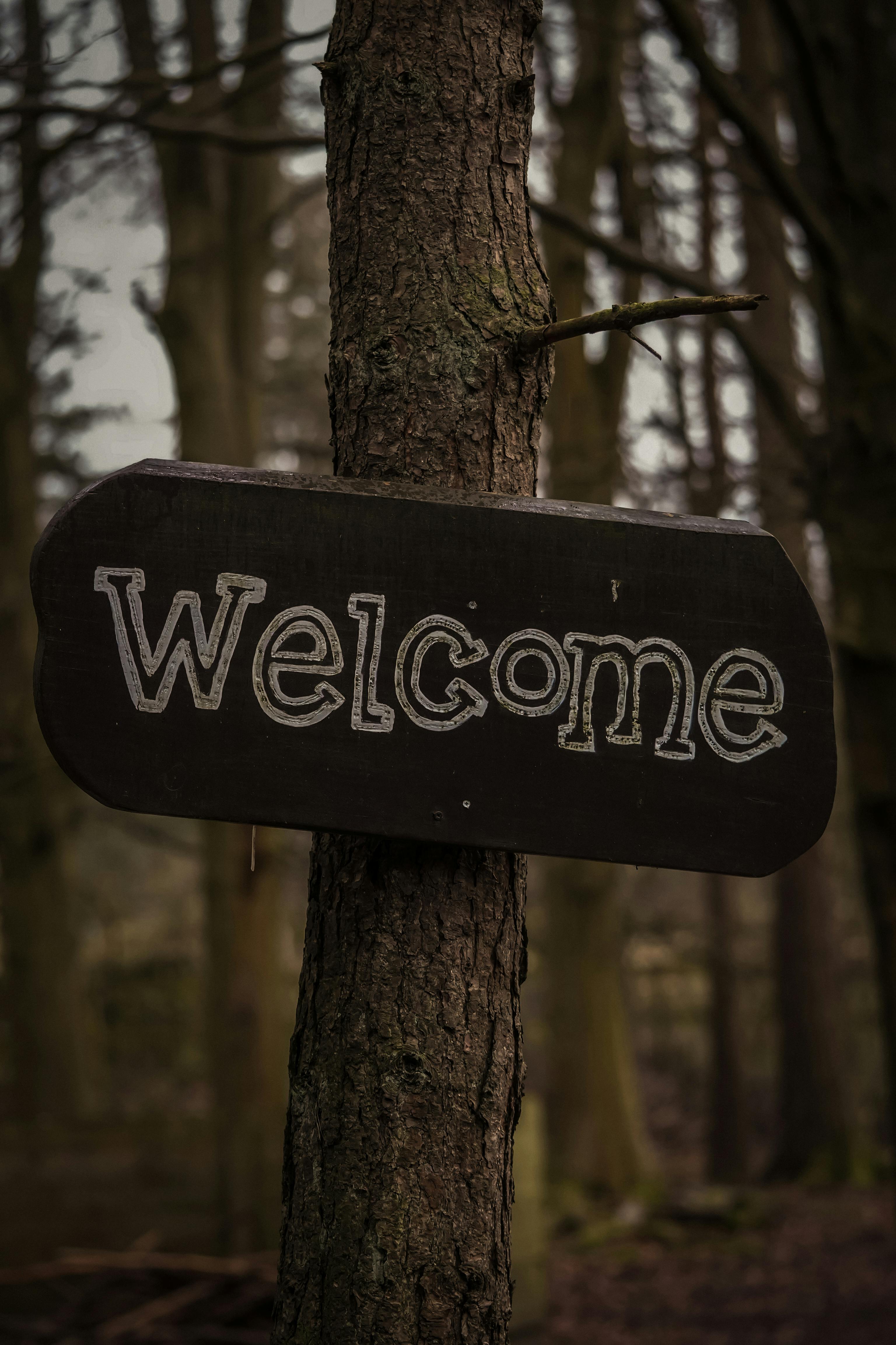 Moody Forest Welcome Sign in Penrith Woods · Free Stock Photo