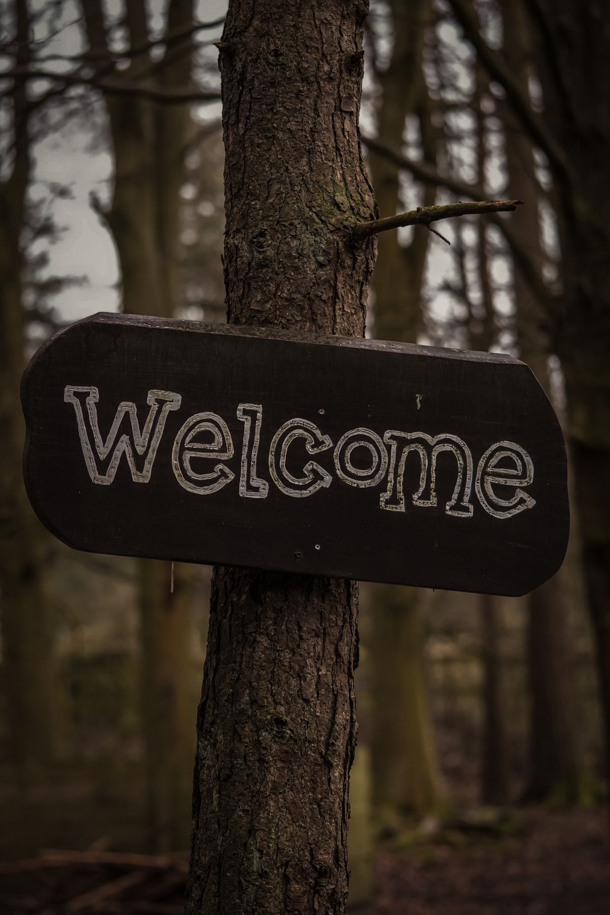 Fall Welcome Photos, Download The BEST Free Fall Welcome Stock Photos ...