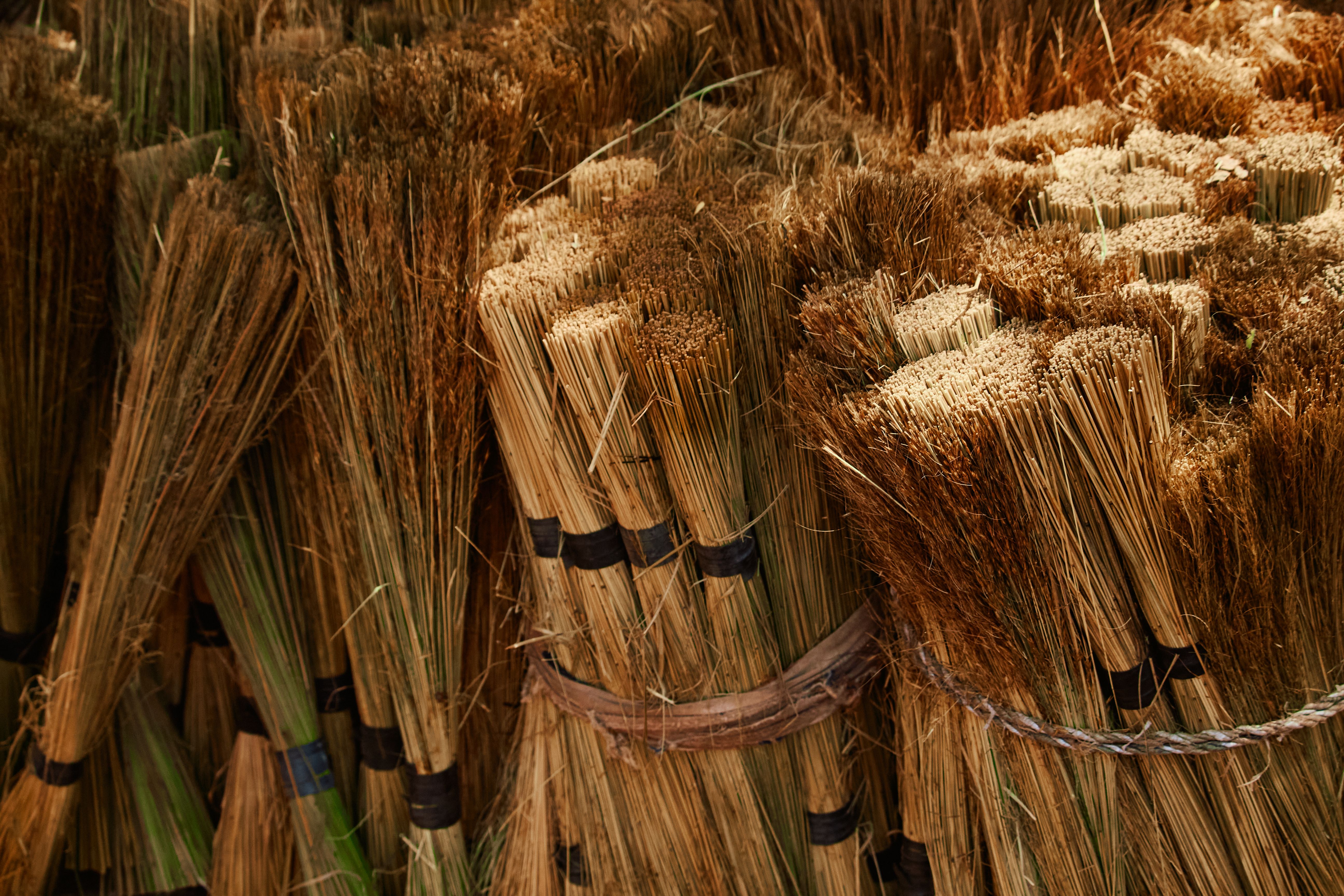 Bundles of Traditional African Broomsticks · Free Stock Photo