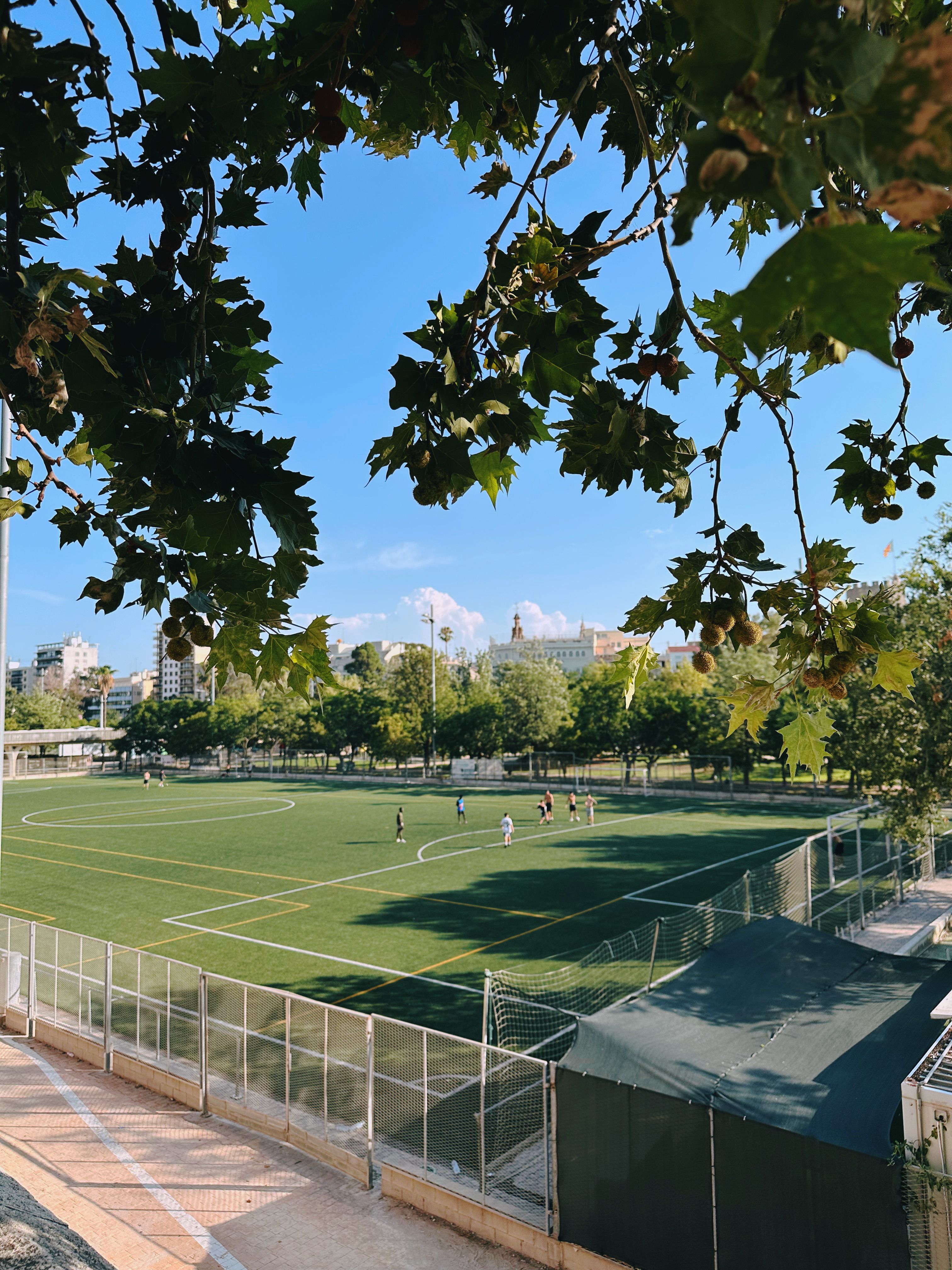 Sunny Outdoor Football Field with Players · Free Stock Photo