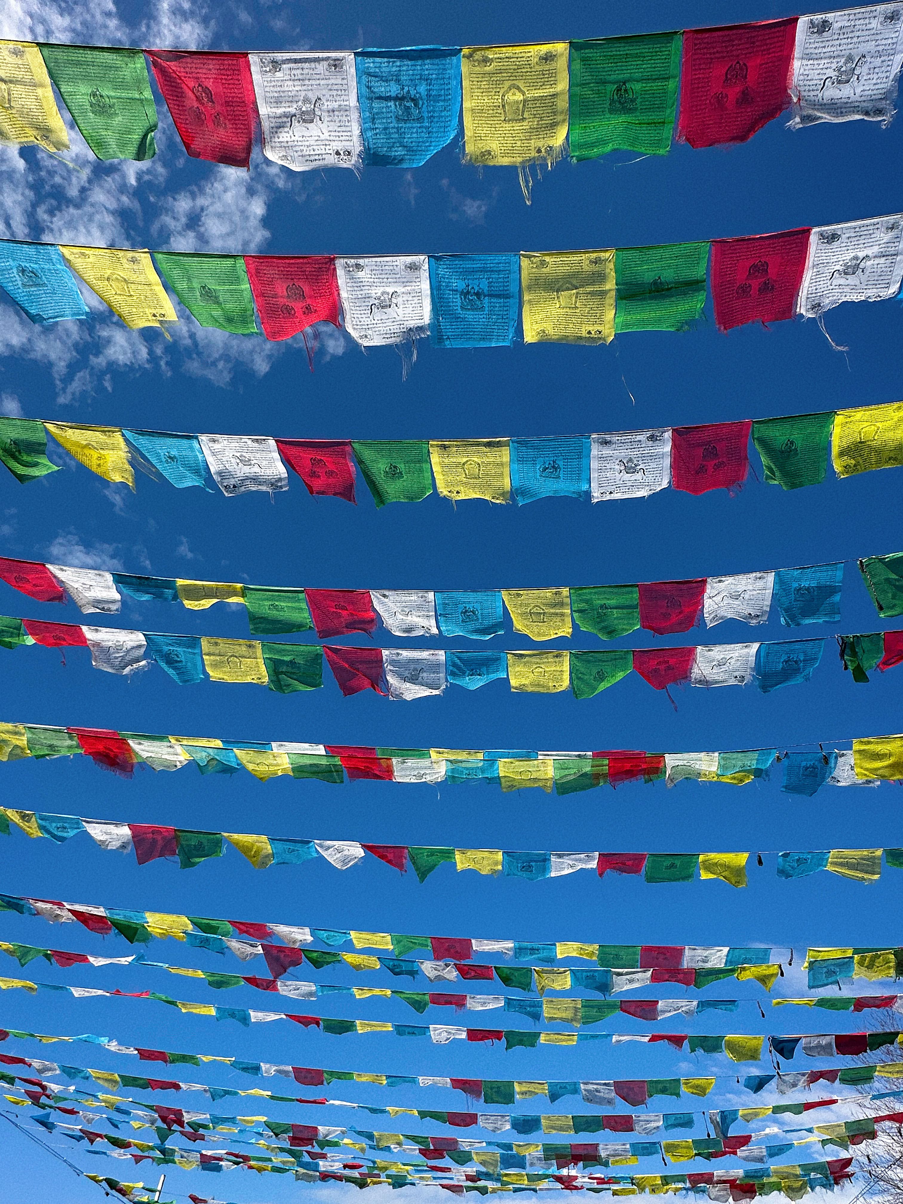 Colorful Tibetan Prayer Flags Fluttering Outdoors · Free Stock Photo