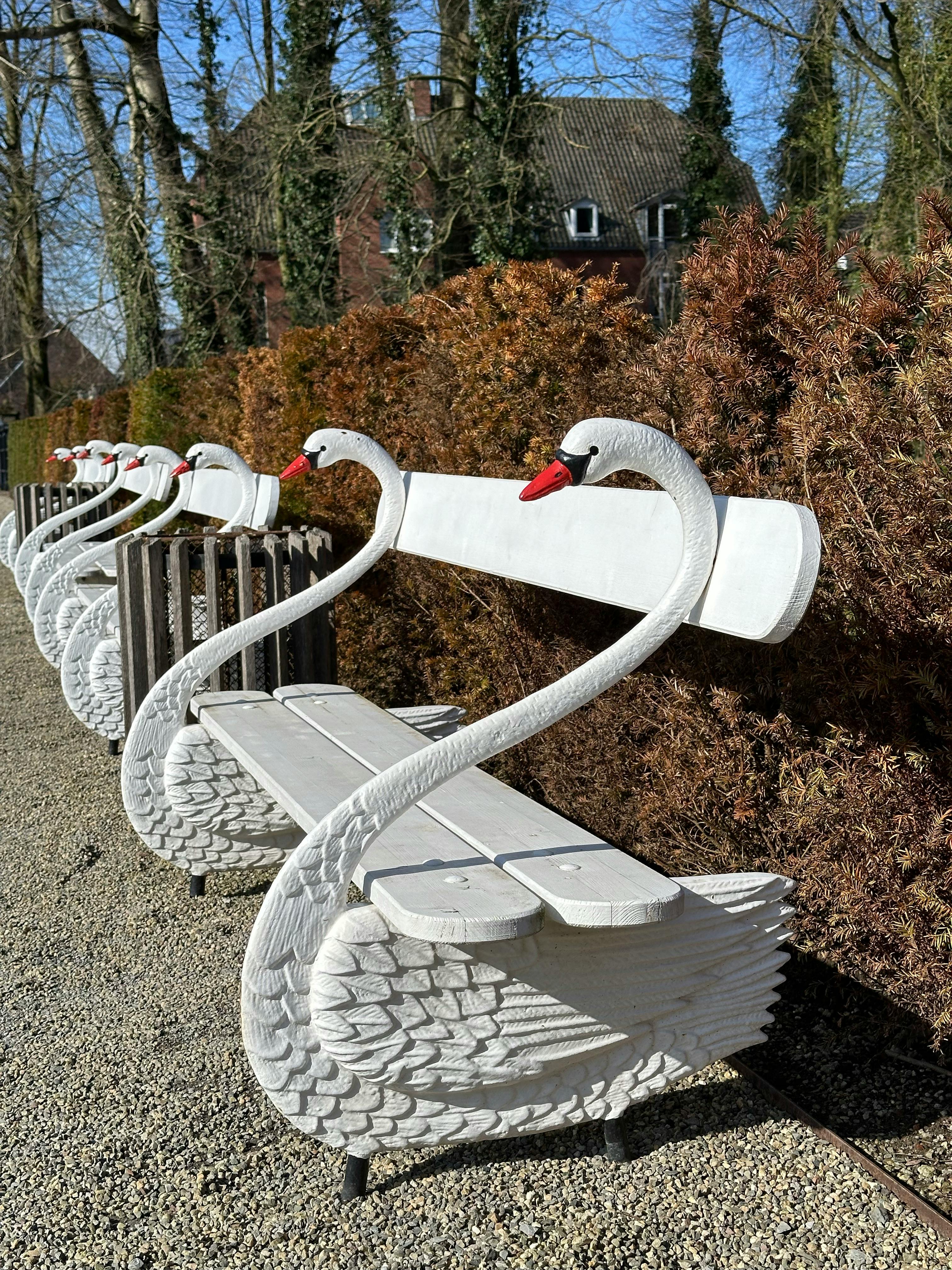 Swan-Shaped Benches in Park Setting · Free Stock Photo