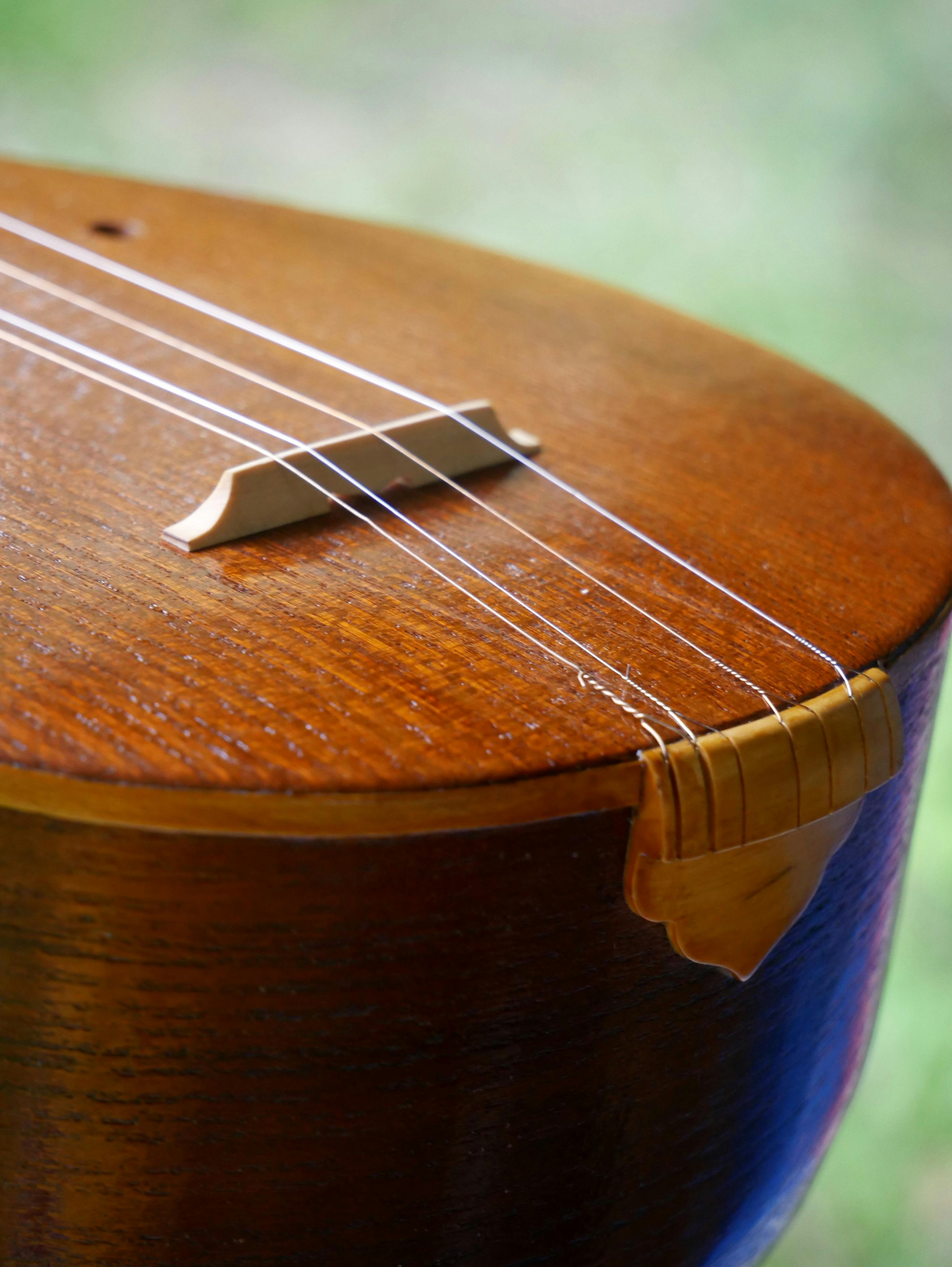 Close-up of a Traditional Wooden String Instrument · Free Stock Photo