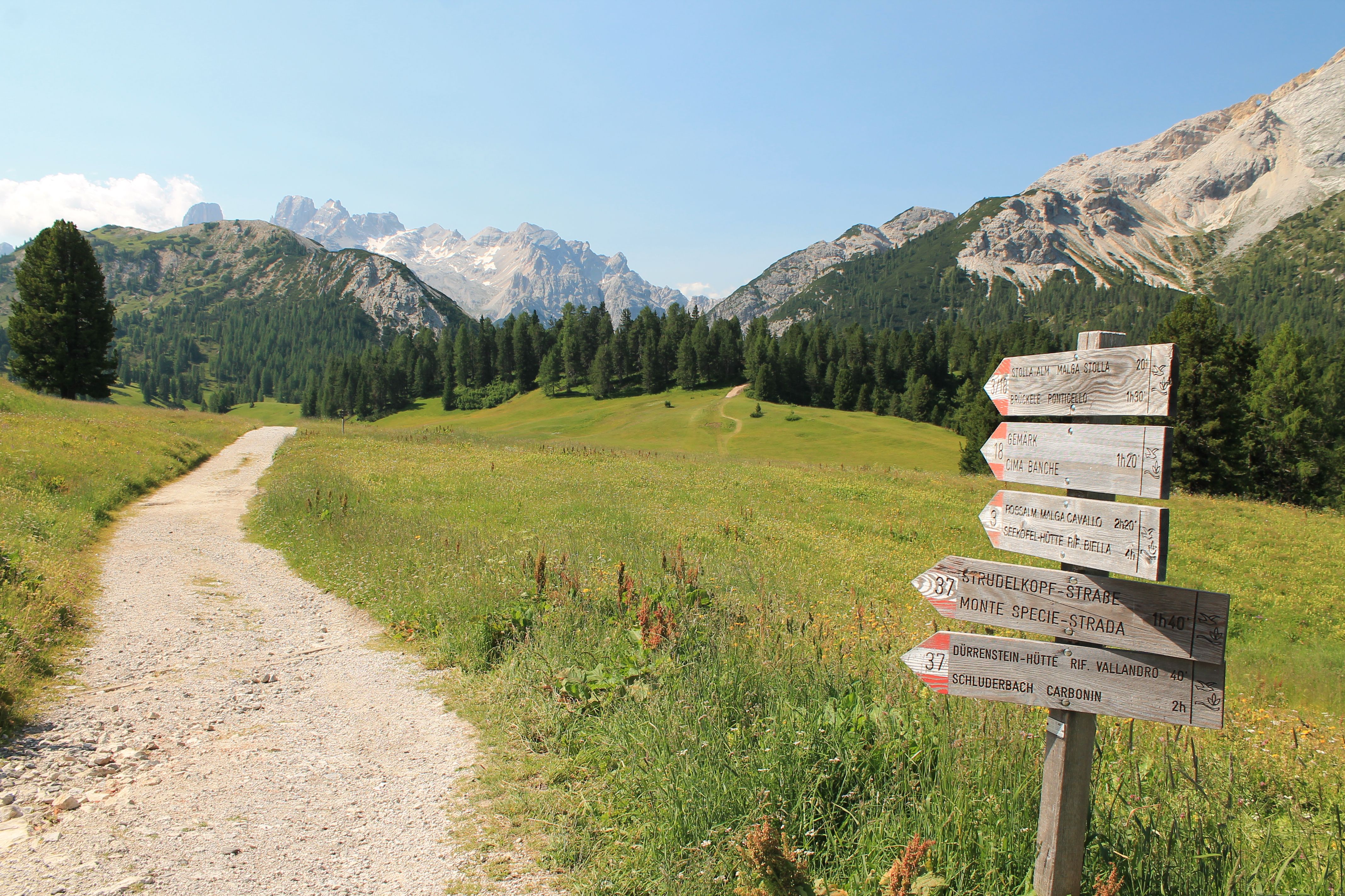 Scenic Pathway in the Dolomites, Italy · Free Stock Photo