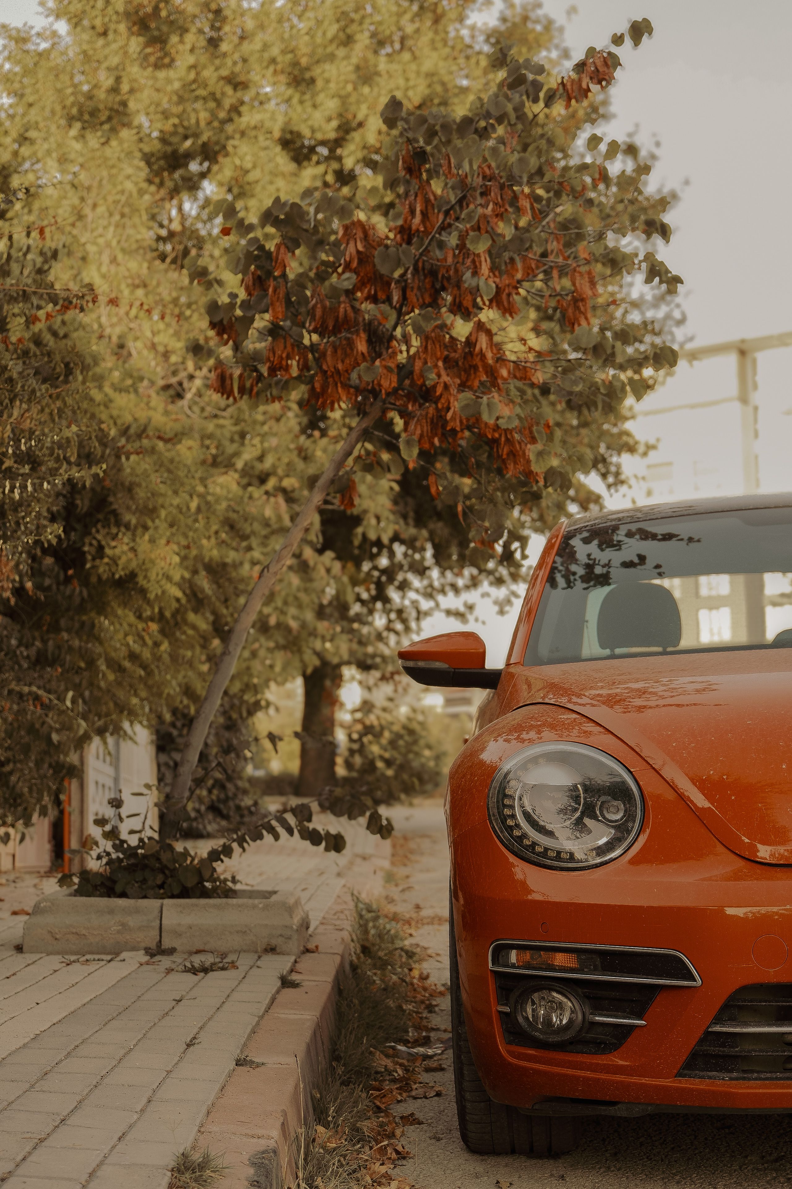 Orange Car Parked on Sidewalk in Autumn · Free Stock Photo