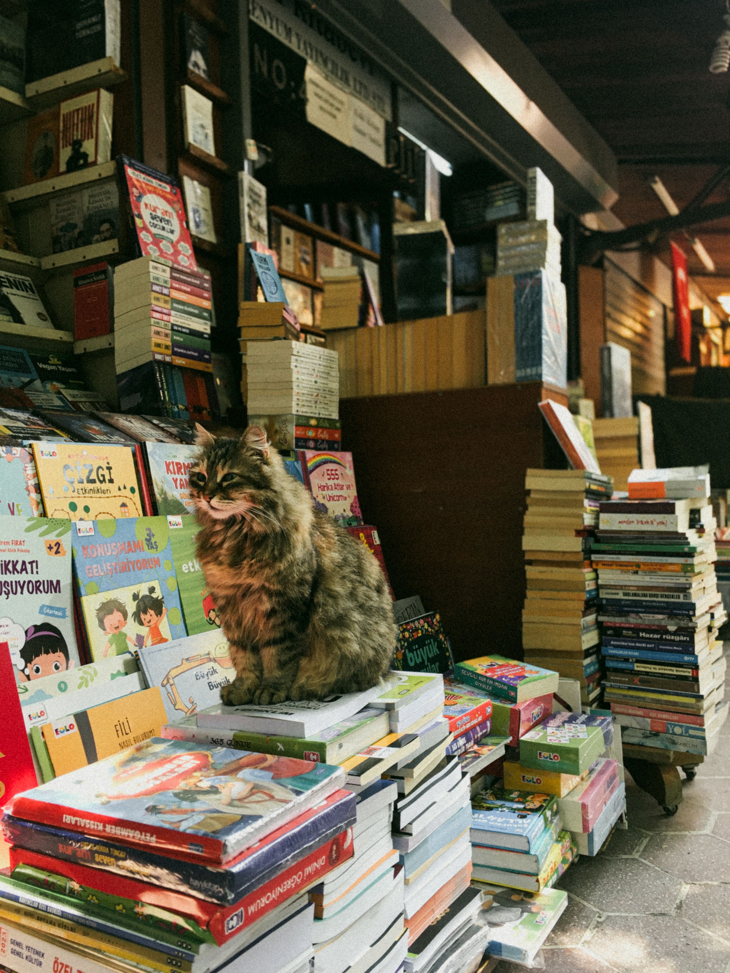 Animated Book Store Photos, Download The BEST Free Animated Book Store ...