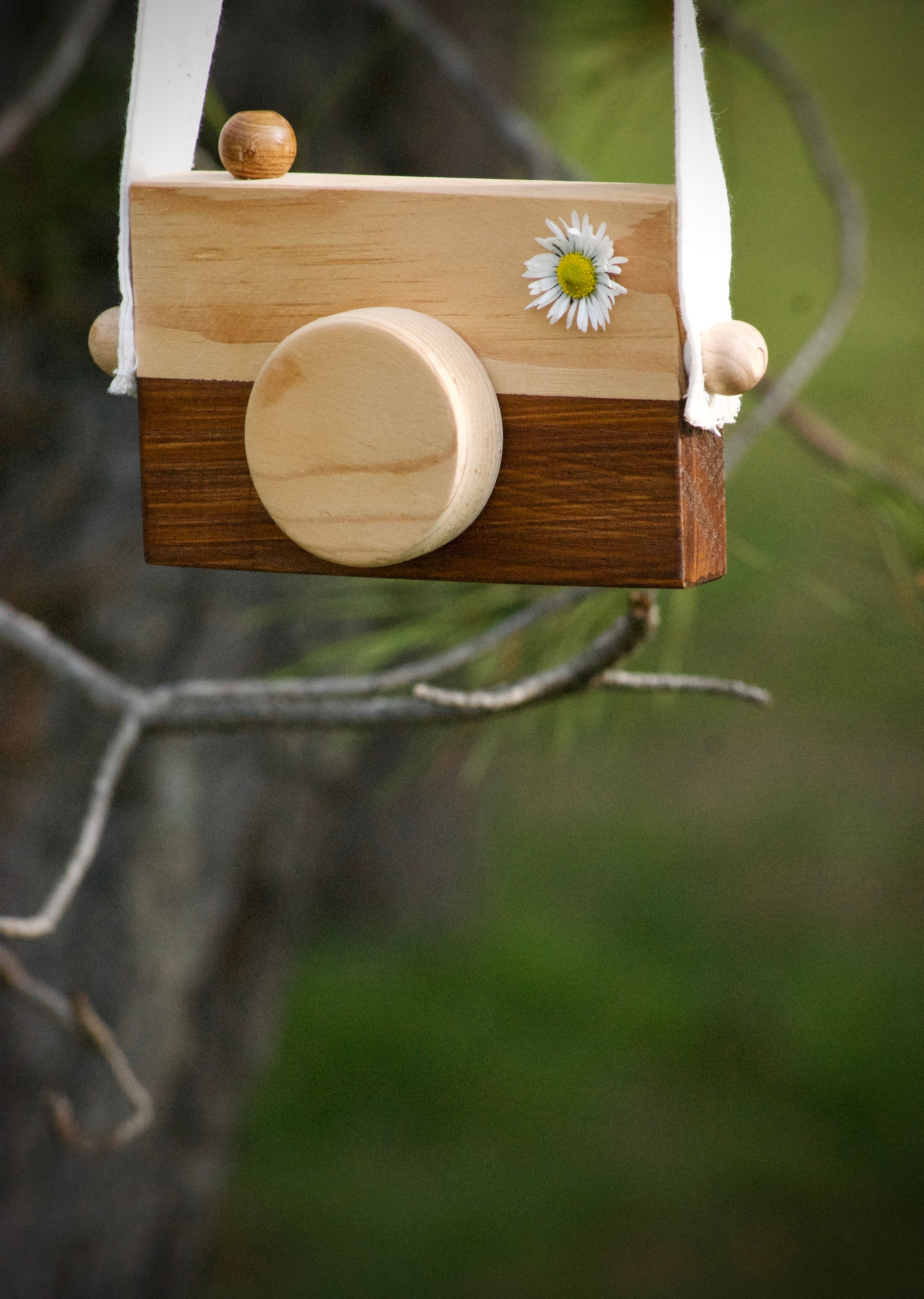 Rustic Wooden Toy Camera Hanging on Branch · Free Stock Photo
