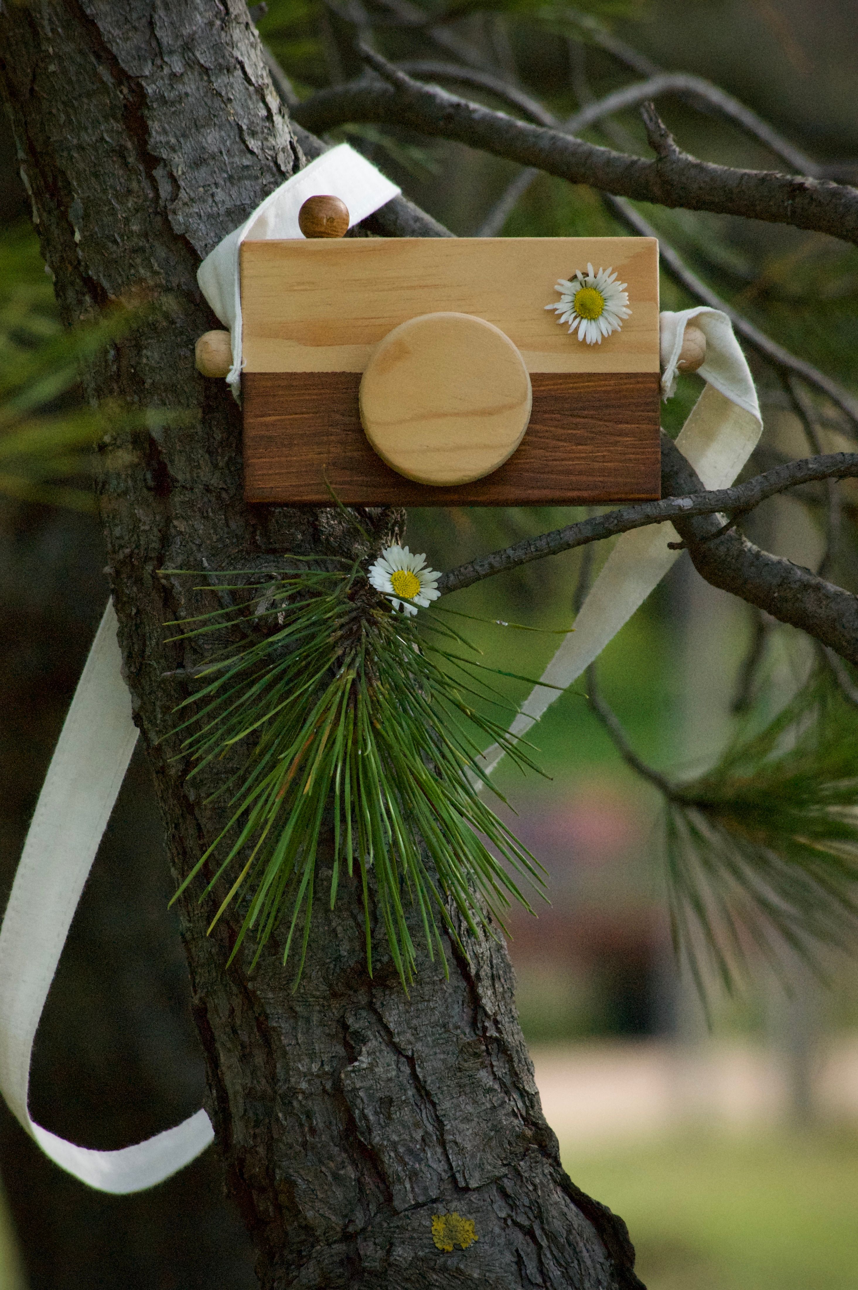 Wooden Toy Camera Hanging on Tree Branch · Free Stock Photo