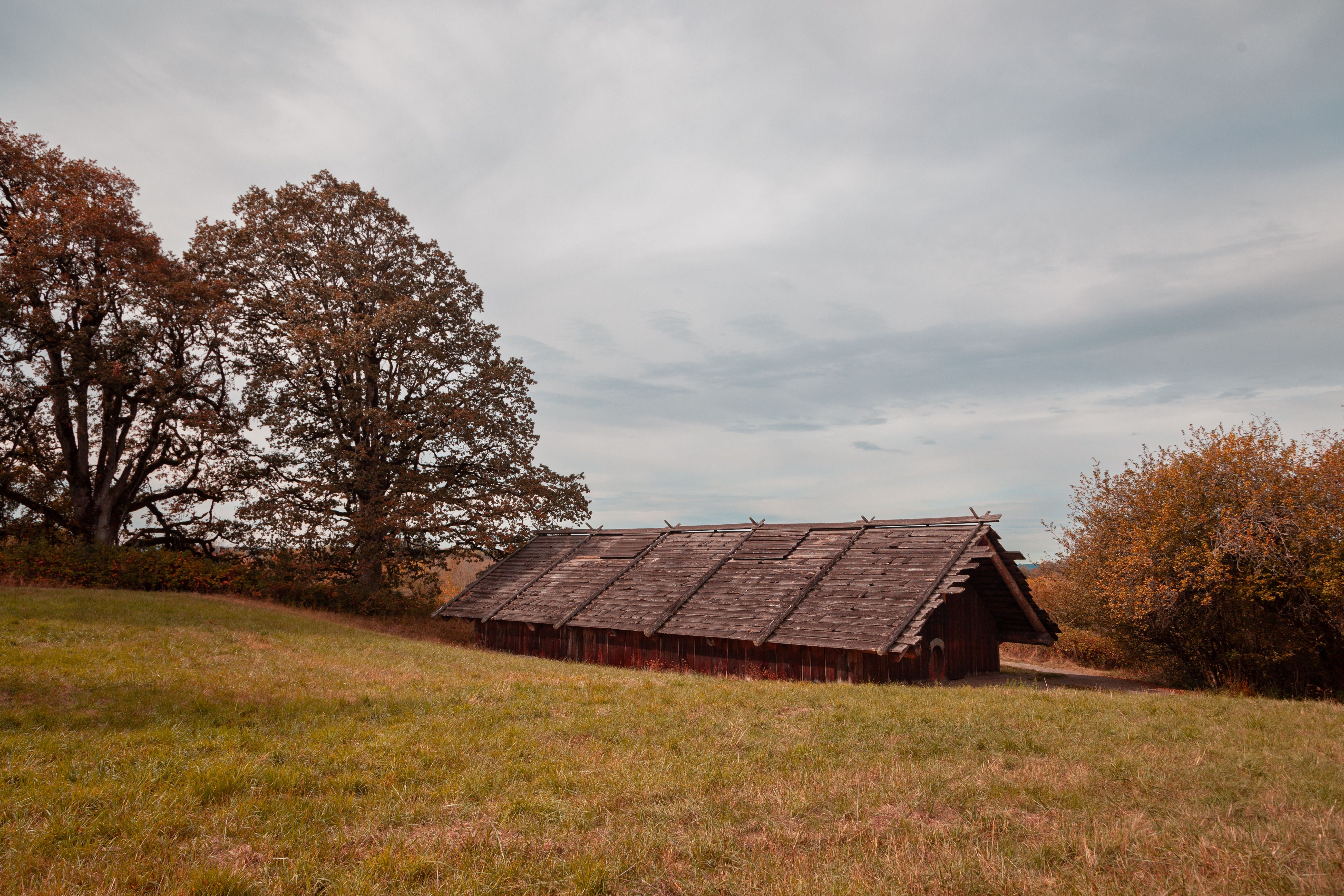 Barn Bil Photos, Download The BEST Free Barn Bil Stock Photos & HD Images