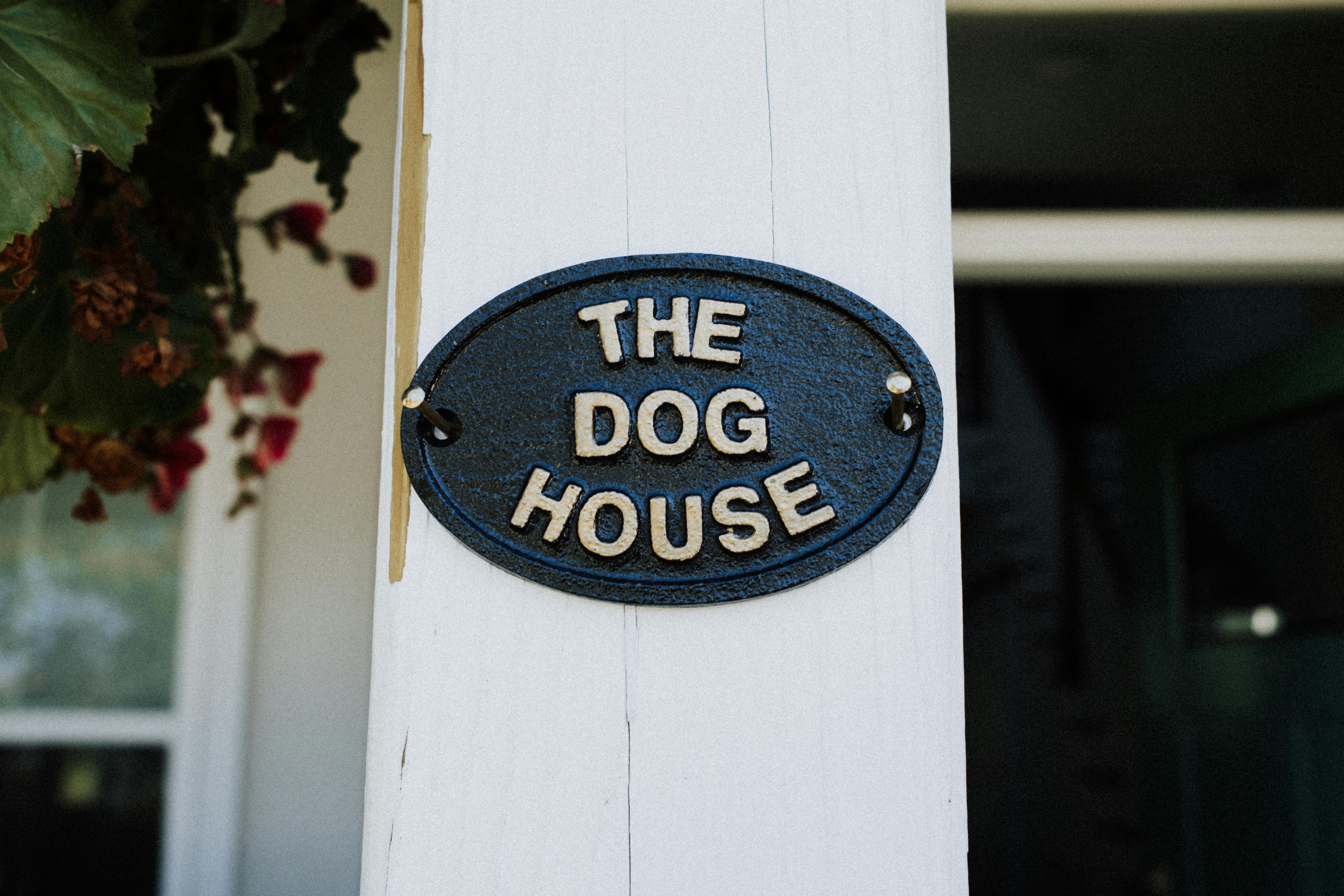 The Dog House Sign on Wooden Post Outdoors · Free Stock Photo