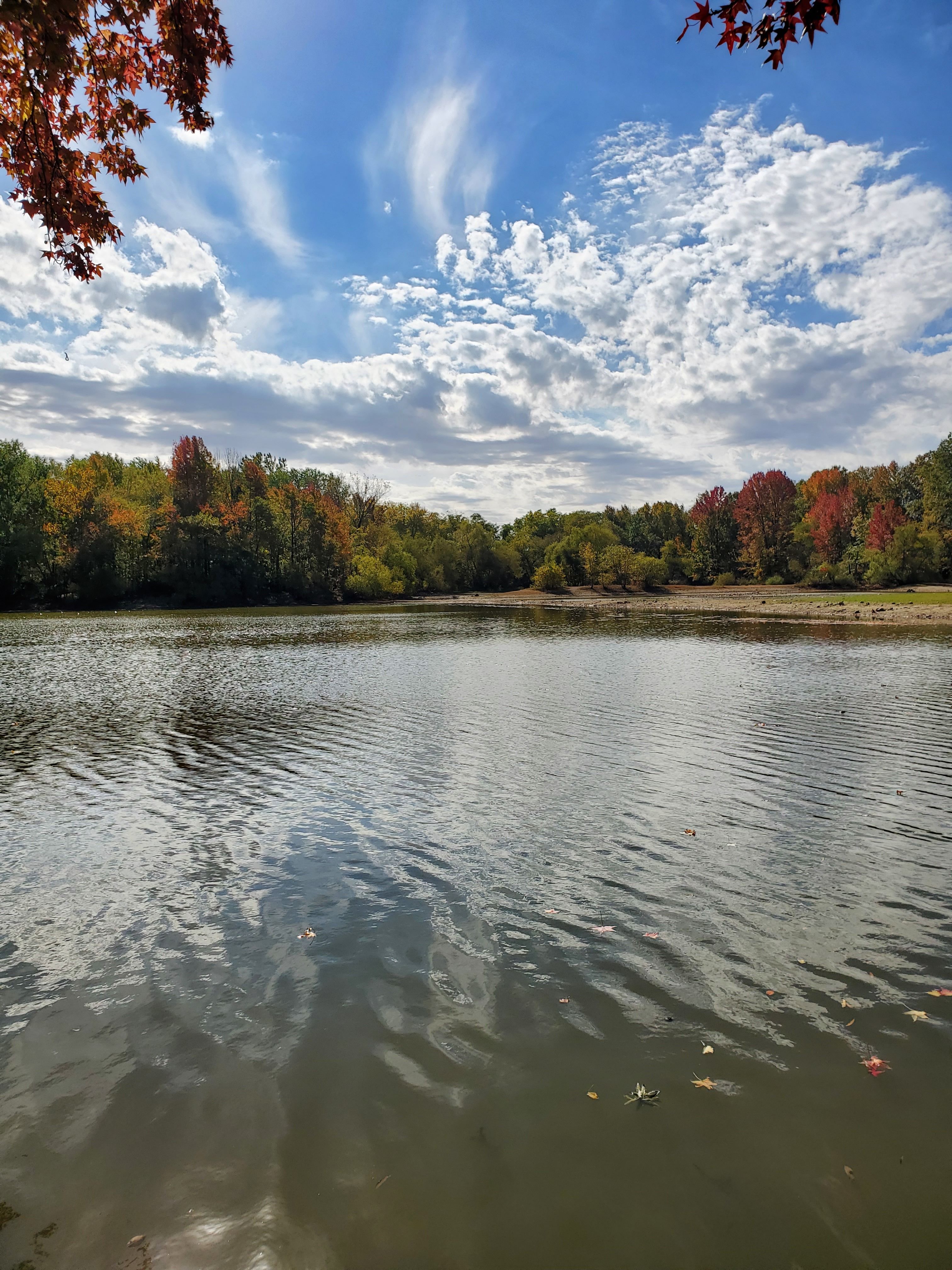 Serene Autumn Pond with Vibrant Fall Foliage · Free Stock Photo